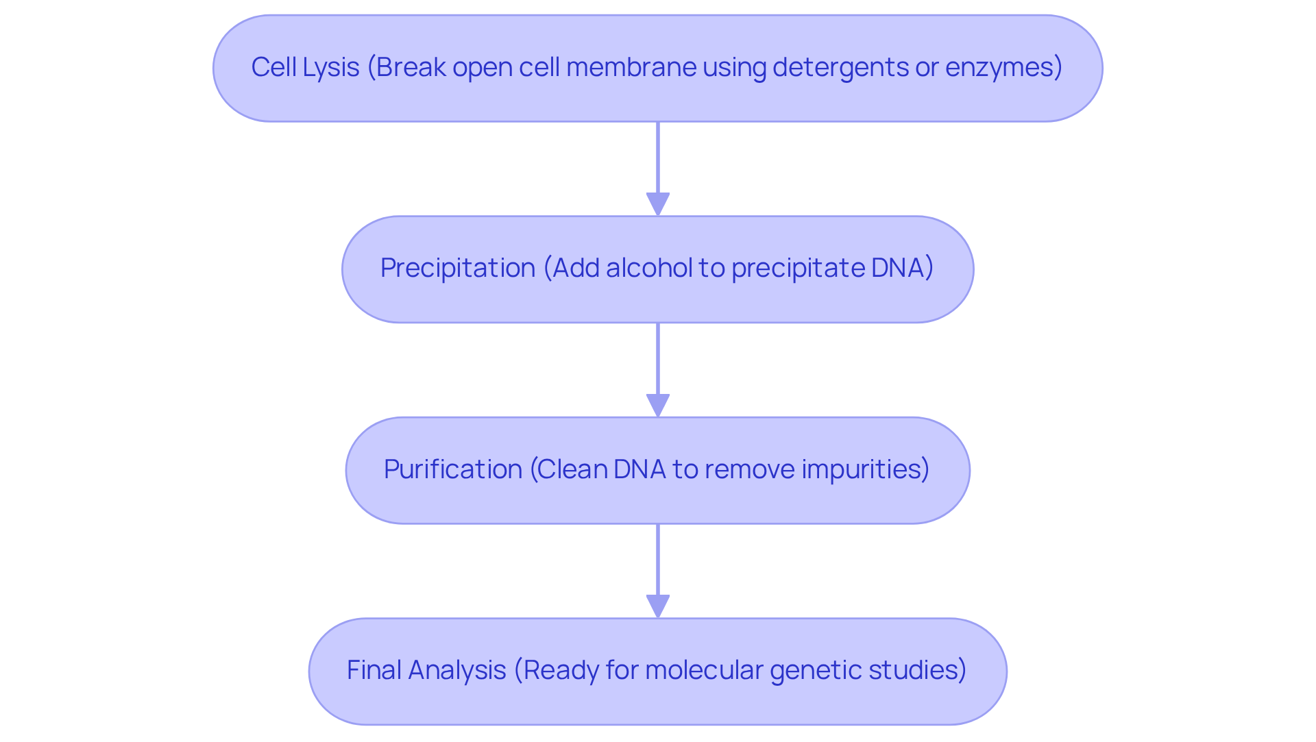 This flowchart outlines the steps for extracting genomic DNA. Start with Cell Lysis to break open the cells, then move to Precipitation to separate the DNA, followed by Purification to clean the DNA, and finally, the analysis stage where the DNA is ready for molecular genetic studies.