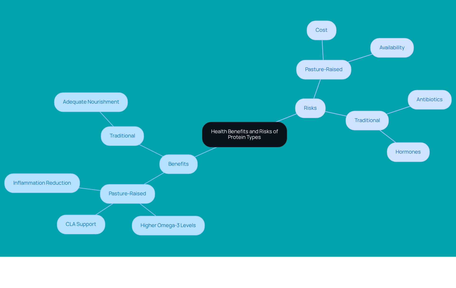 The central node represents the topic, with branches showing benefits and risks. Each sub-branch details specific points, making it easy to compare the two protein types. The central node represents the topic, with branches showing benefits and risks. Each sub-branch details specific points, making it easy to compare the two protein types.