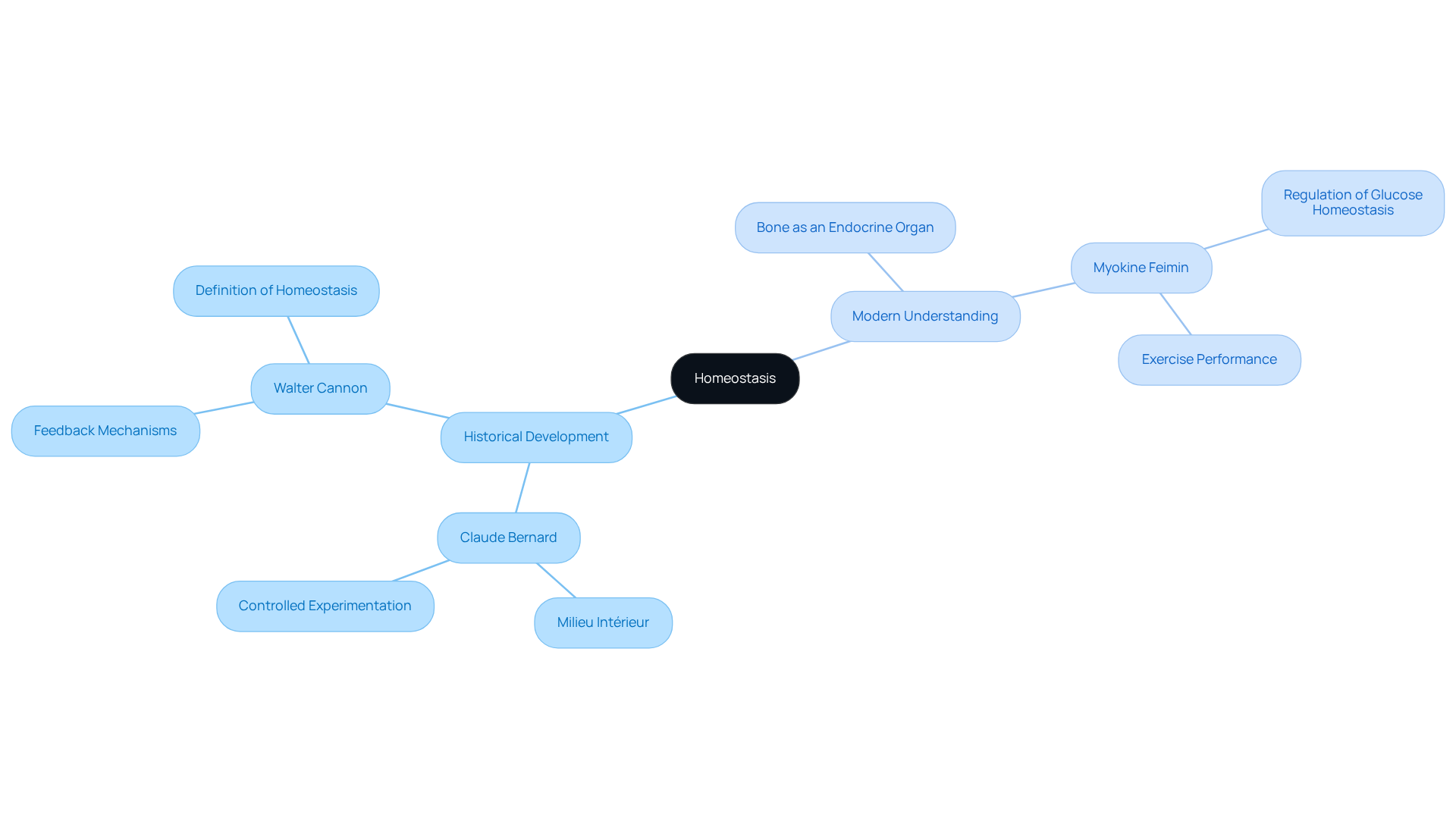 This mindmap starts with the central idea of homeostasis and branches out to show how the concept has evolved over time. Each branch represents a key figure or modern understanding, helping you see how these ideas connect and contribute to our current knowledge.
