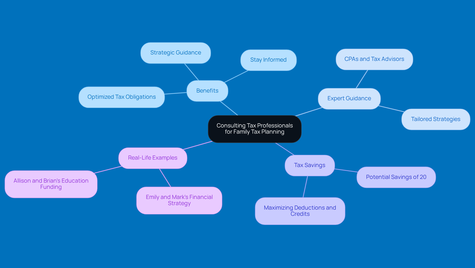 The center shows the main idea of consulting tax professionals, and the branches illustrate the various benefits and examples that support this idea. Each branch represents a different aspect of how tax professionals can help families.