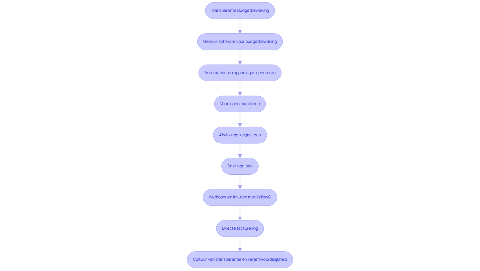 Elke stap in de flowchart laat zien wat je moet doen om budgetbewaking effectief te implementeren. Volg de pijlen om te begrijpen hoe elke actie bijdraagt aan het succes van het project.
