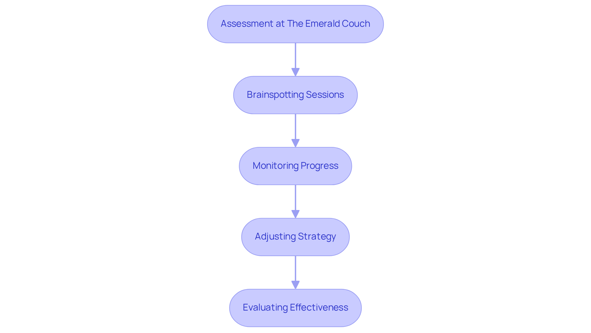 Each box represents a key step in the therapy process. Follow the arrows to see how the assessment leads to therapy sessions, which are then monitored and adjusted based on progress.