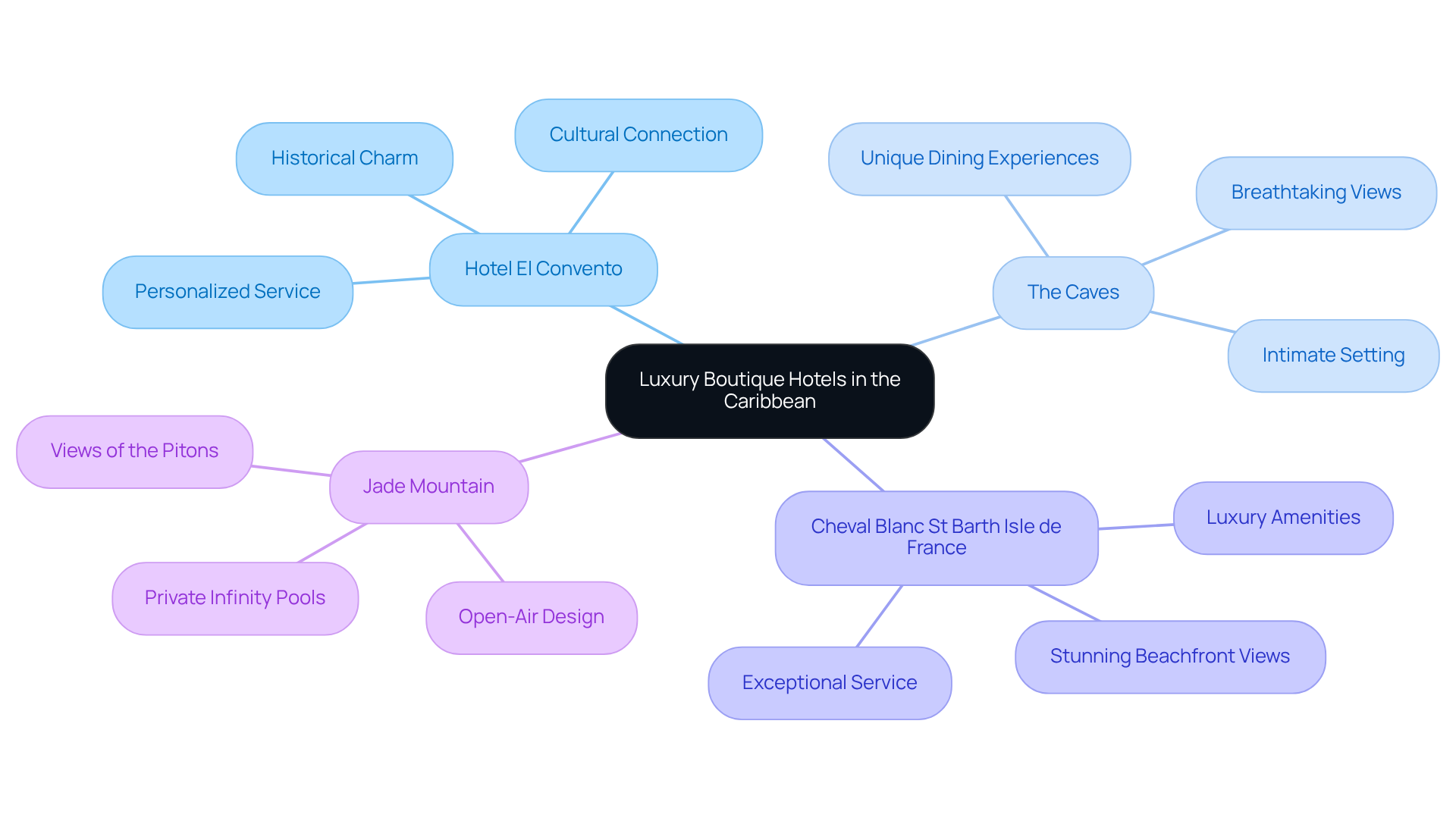 Each branch represents a different hotel, showcasing its unique offerings and experiences. Follow the branches to explore what makes each hotel special! Each branch represents a different hotel, showcasing its unique offerings and experiences. Follow the branches to explore what makes each hotel special!