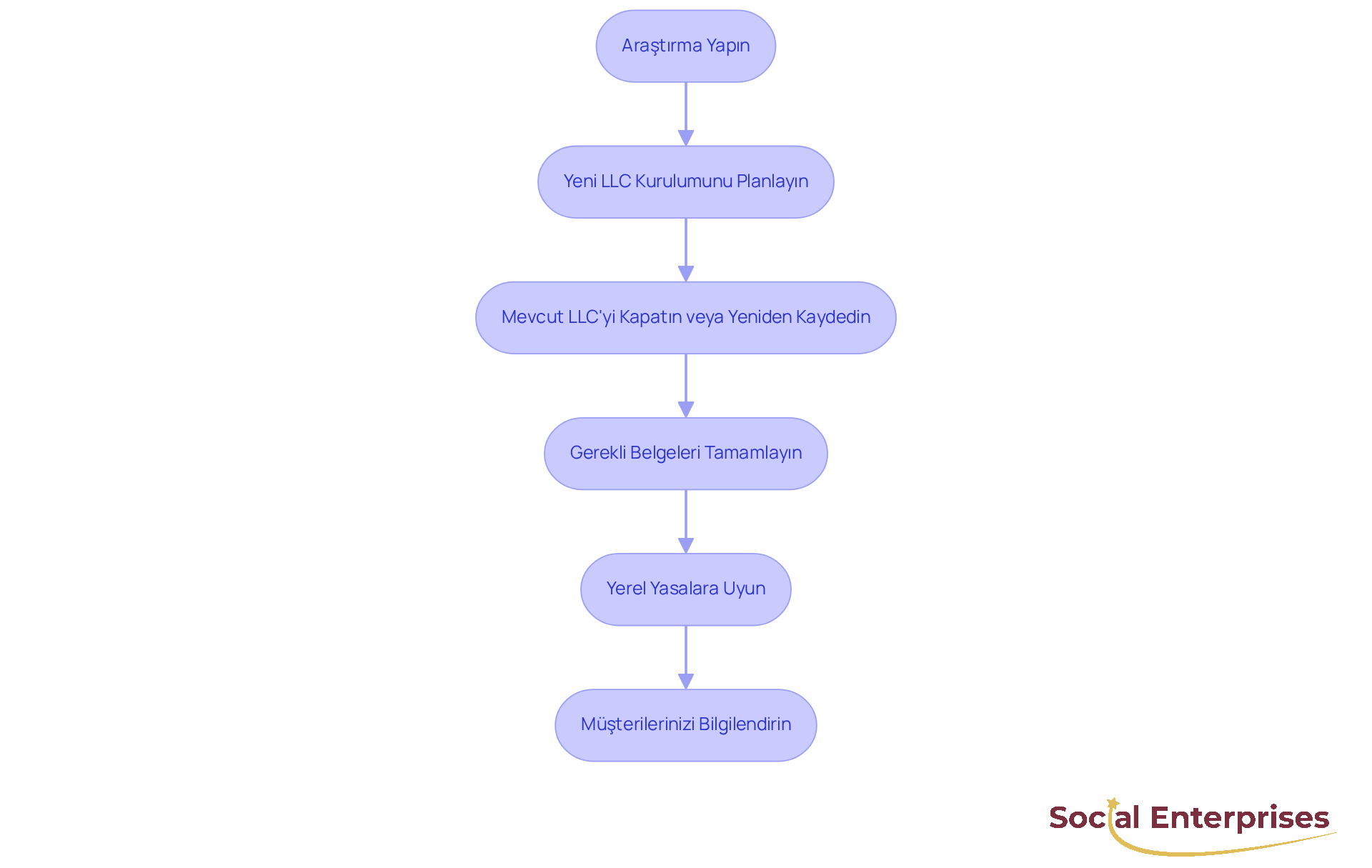 Her kutu, LLC'nizi taşırken izlemeniz gereken bir adımı temsil eder. Oklar, adımların hangi sırayla takip edilmesi gerektiğini gösterir.