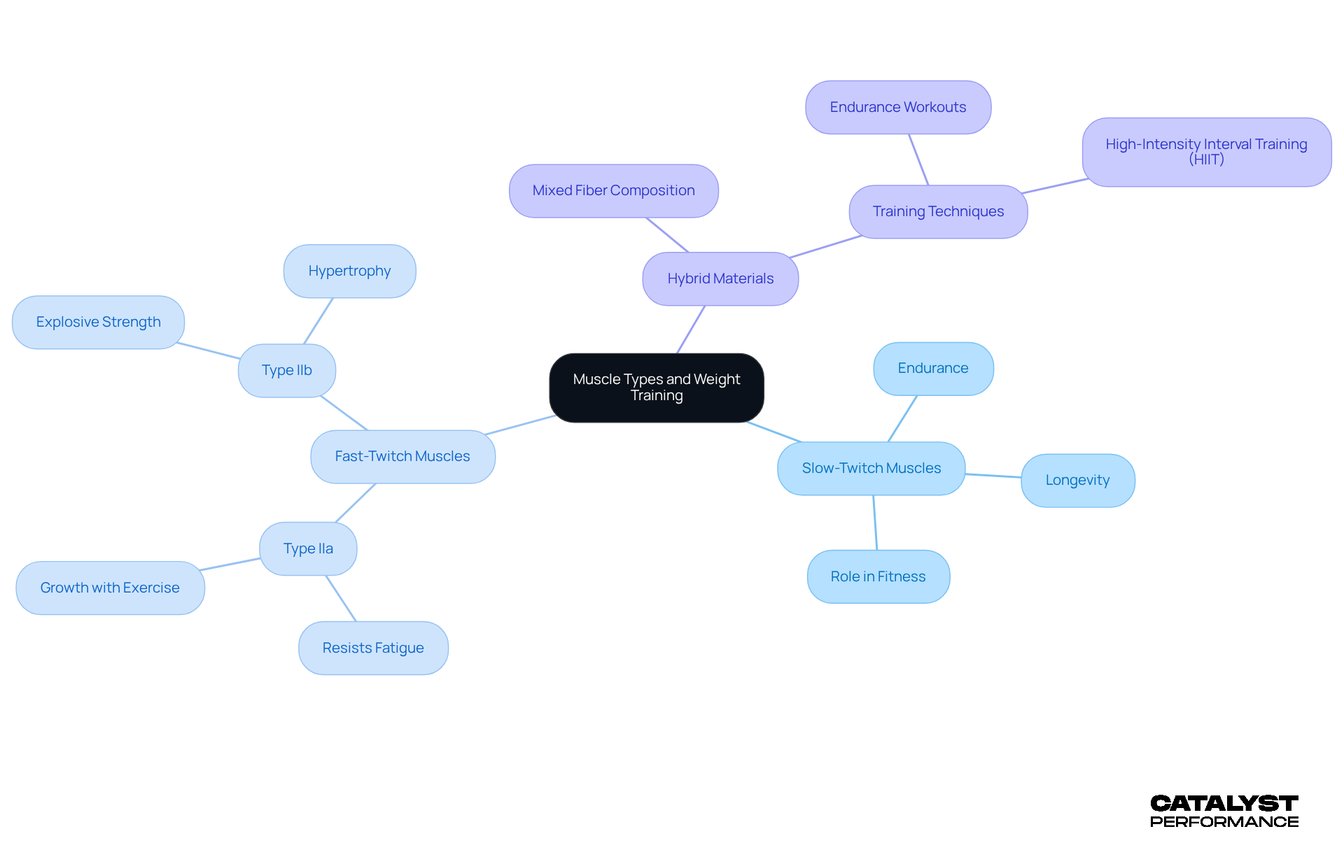 The central node represents the main topic, while the branches show different muscle types. Each sub-point explains key characteristics and training implications, helping you see how to tailor your workouts for optimal results. The central node represents the main topic, while the branches show different muscle types. Each sub-point explains key characteristics and training implications, helping you see how to tailor your workouts for optimal results.