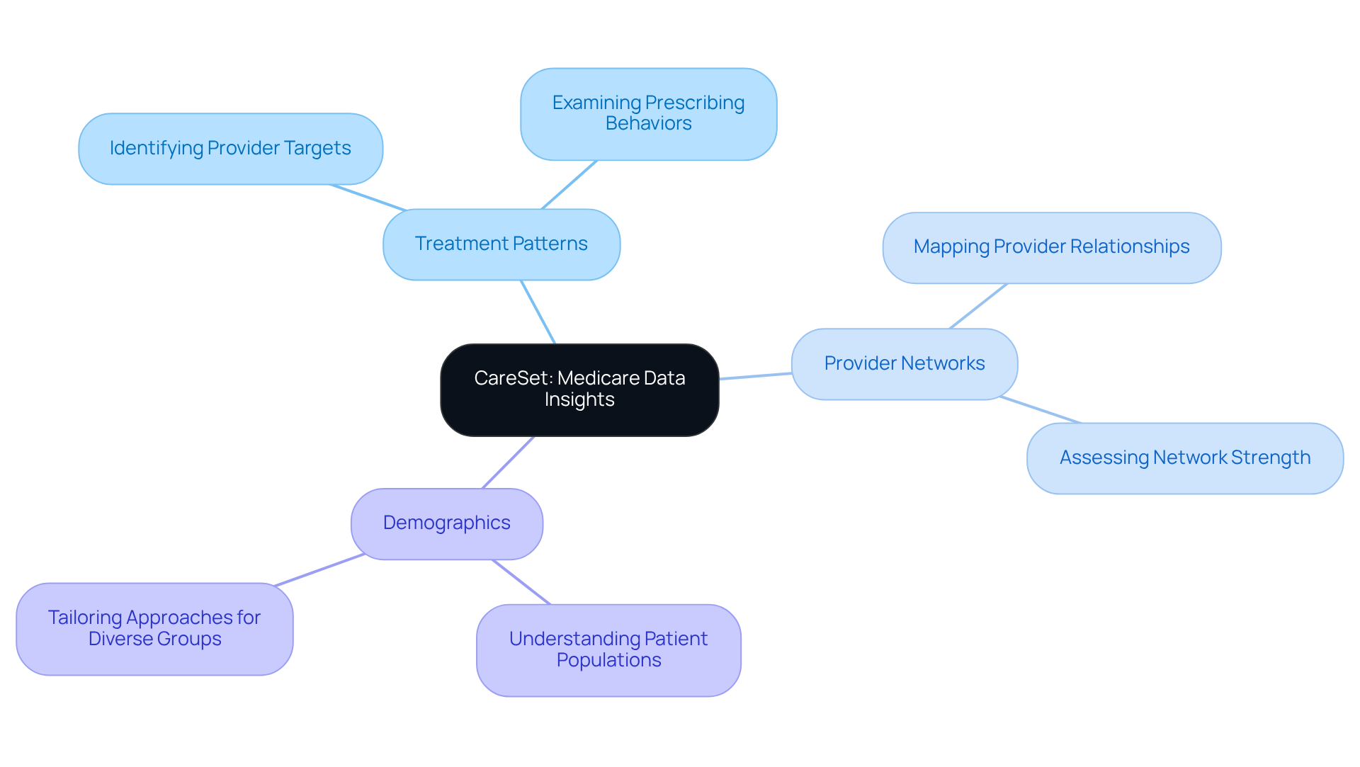 The center represents CareSet's role, while each branch shows key areas of insight derived from Medicare data, illustrating how they empower pharmaceutical companies.
