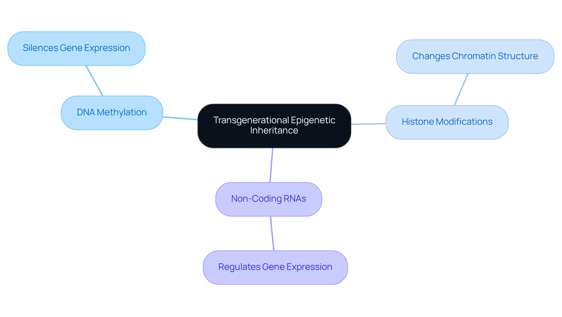 Start at the center with the main concept, then follow the branches to explore each mechanism and its role in epigenetic inheritance.