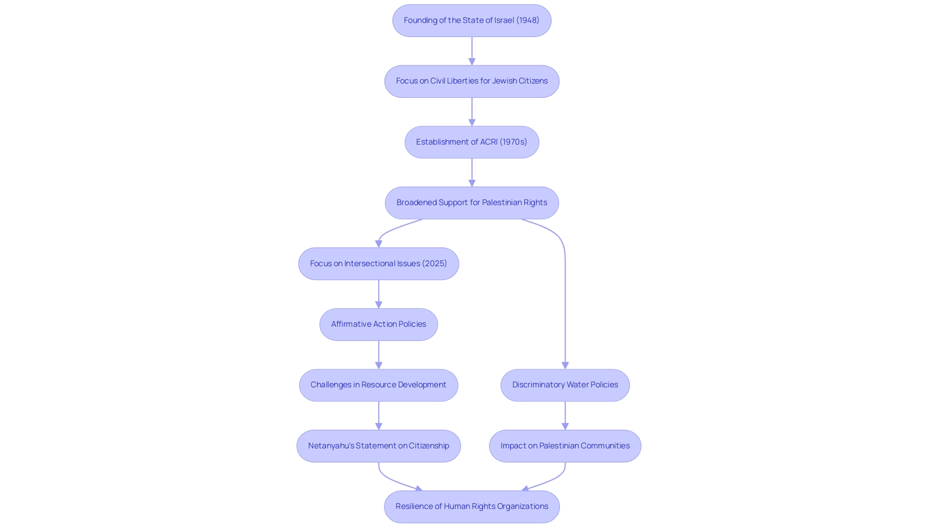 Green boxes indicate positive advancements in advocacy, while red boxes represent challenges faced by human rights organizations.