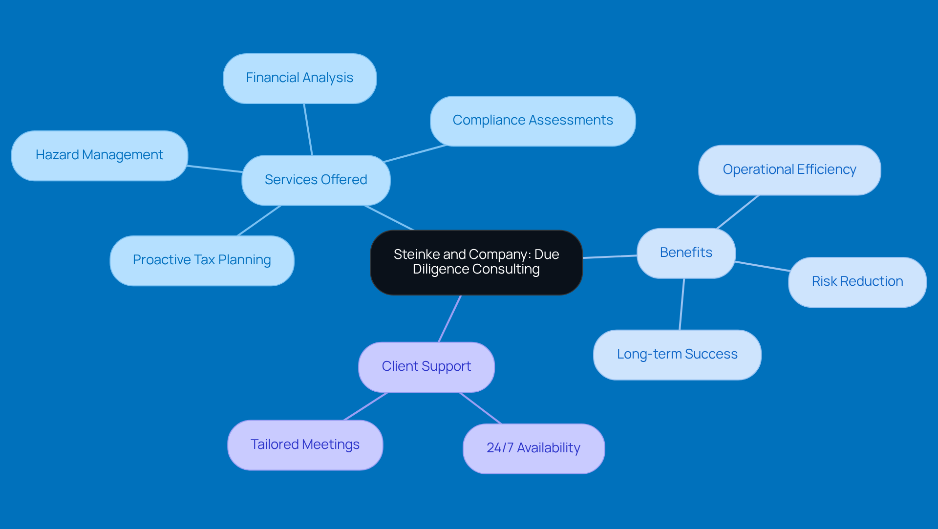 The central node represents Steinke and Company's consulting focus, while the branches show the different services they provide and the benefits these services bring to small agencies. The central node represents Steinke and Company's consulting focus, while the branches show the different services they provide and the benefits these services bring to small agencies.