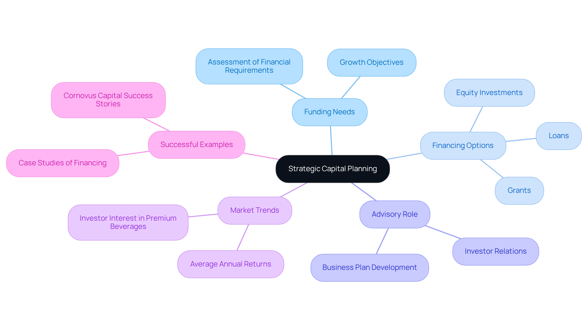 The central node represents strategic capital planning; branches show key areas related to this process. Each sub-node provides more detail, helping you see how everything connects.