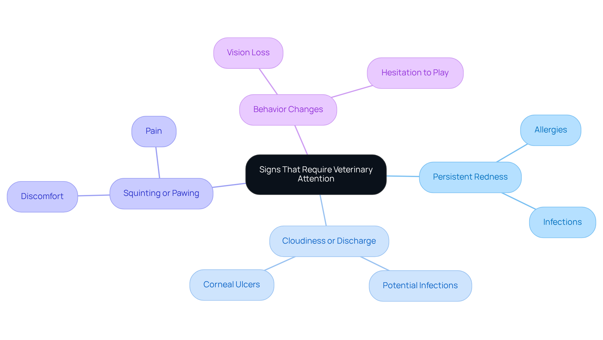 This mindmap shows important signs that your pet might need to see a vet. Each branch represents a different symptom, and the words under them explain why these signs matter for your pet's health.