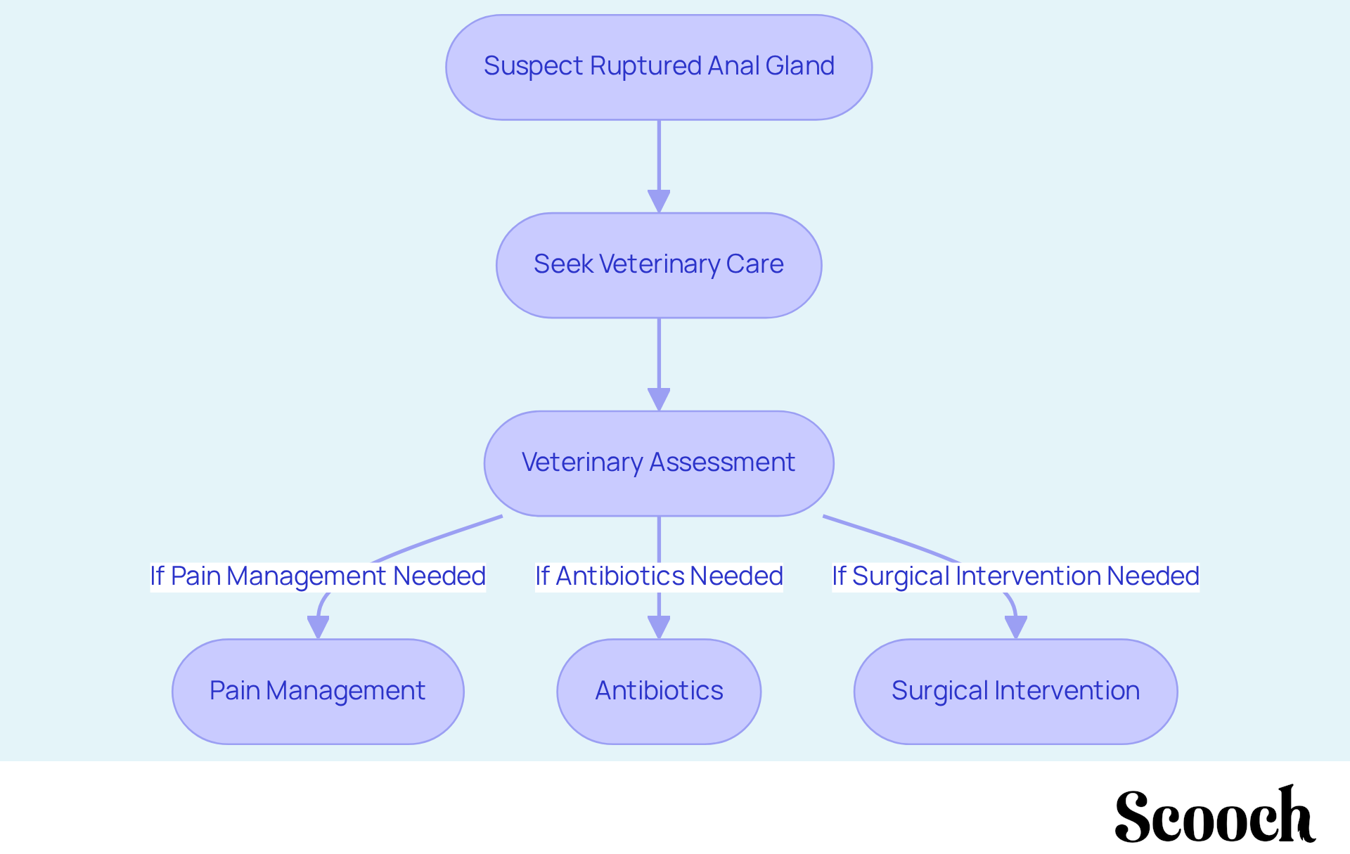The flowchart outlines the process: start by recognizing that your dog may have a problem, then move to seek care, followed by an assessment and potential treatment options. Each box represents a key step in ensuring your dog gets the help they need. The flowchart outlines the process: start by recognizing that your dog may have a problem, then move to seek care, followed by an assessment and potential treatment options. Each box represents a key step in ensuring your dog gets the help they need.