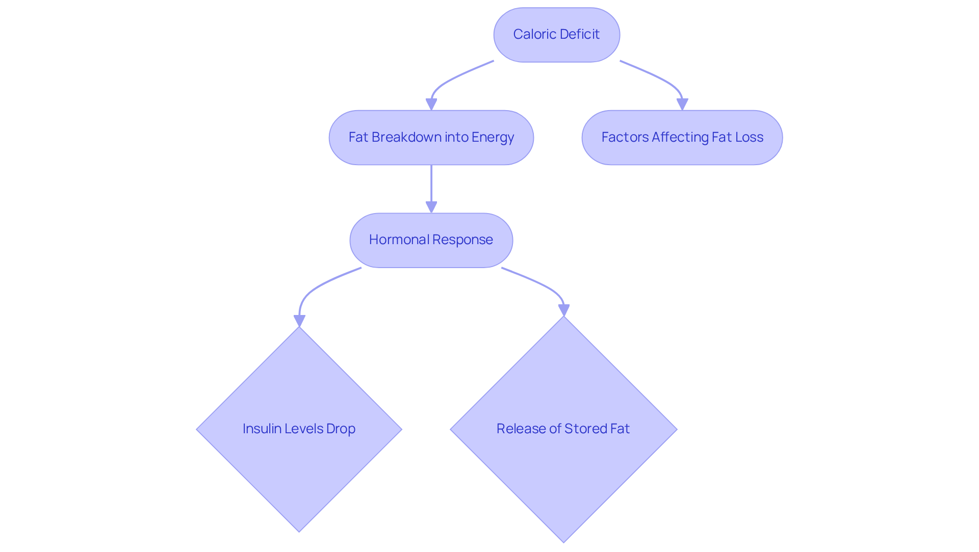 This flowchart illustrates how creating a caloric deficit leads to fat loss. Start at the top with caloric deficit, then follow the arrows to see how it triggers fat breakdown and hormonal responses. Each step shows how our bodies manage fat and the factors that influence this process.