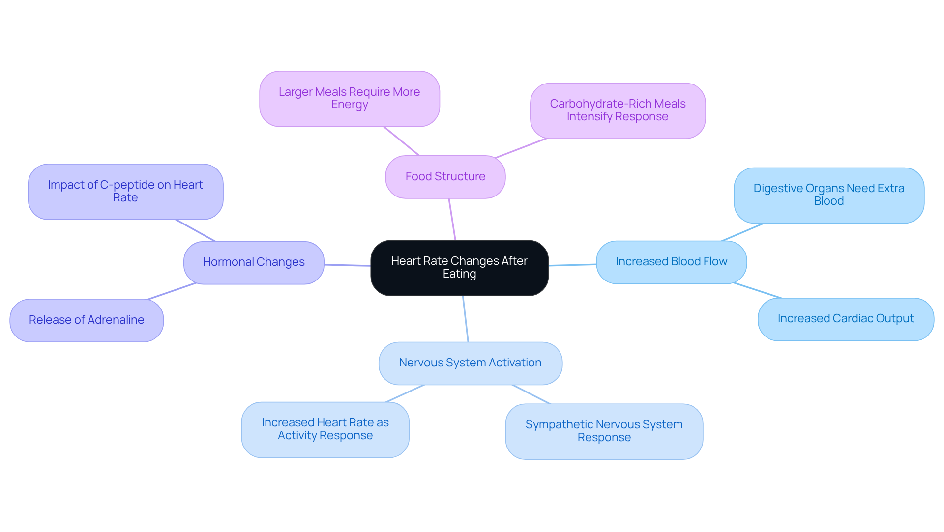 This mindmap illustrates how different factors contribute to your heart beating faster after meals. Start at the center with the main idea, then explore each branch to see how blood flow, nervous system responses, hormones, and food types all play a role in this common experience.