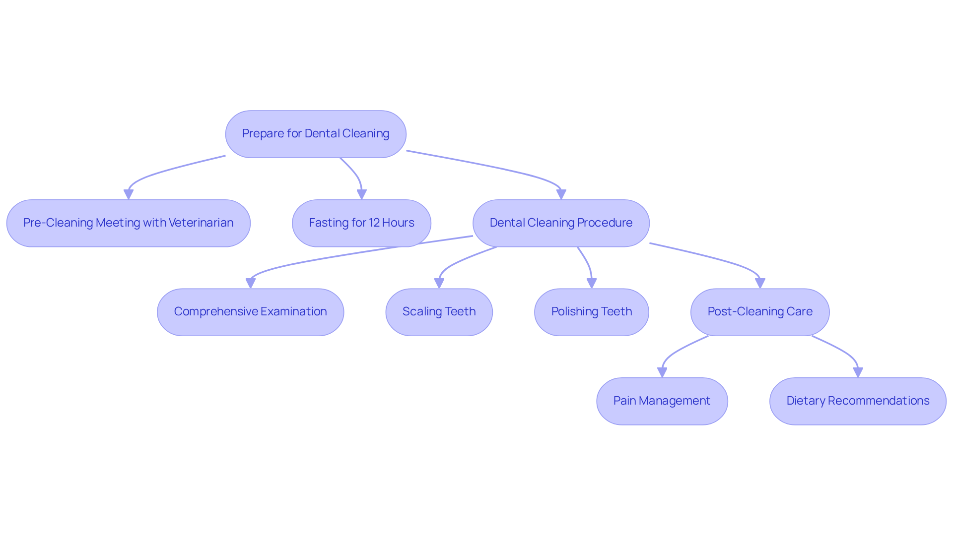 This flowchart guides you through the preparation for your dog's dental cleaning. Start at the top and follow the arrows to see what you need to do before, during, and after the cleaning to ensure your dog has a safe and smooth experience.