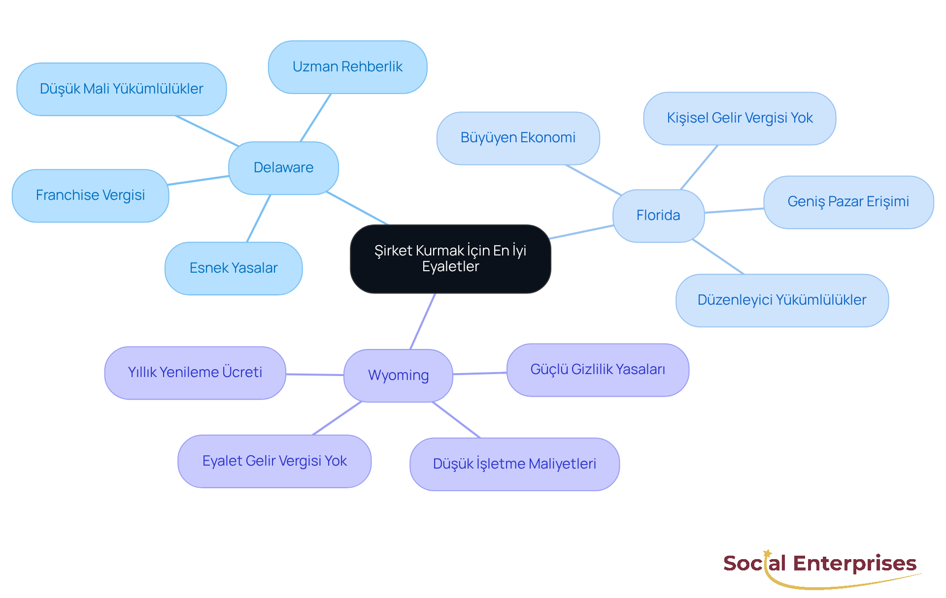 Merkezdeki başlık, şirket kurmak için en iyi eyaletleri temsil ediyor. Dallar, her eyaletin avantajlarını ve dezavantajlarını gösteriyor. Renkler, her eyaletin özelliklerini ayırt etmeye yardımcı oluyor.