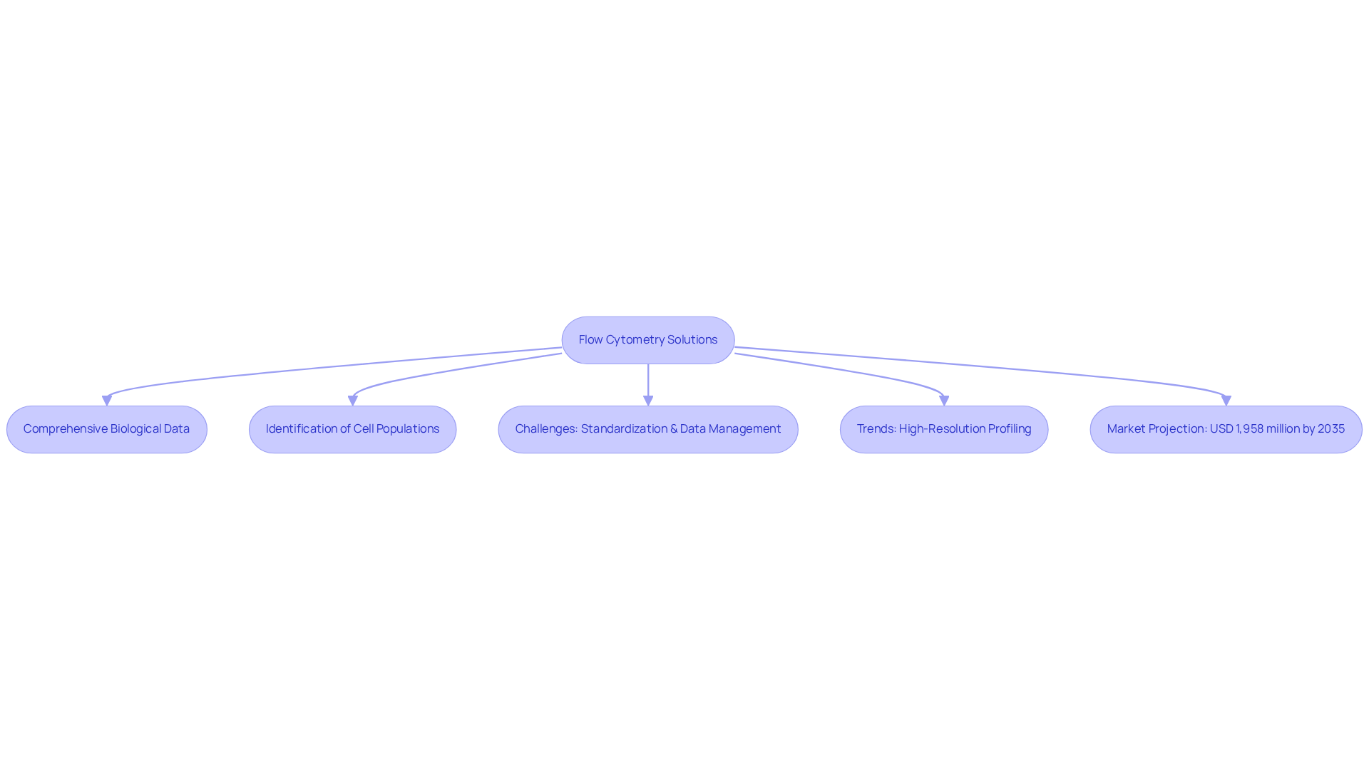 This flowchart outlines the key aspects of flow cytometry solutions, showing how they contribute to research and the challenges faced, along with future market projections.
