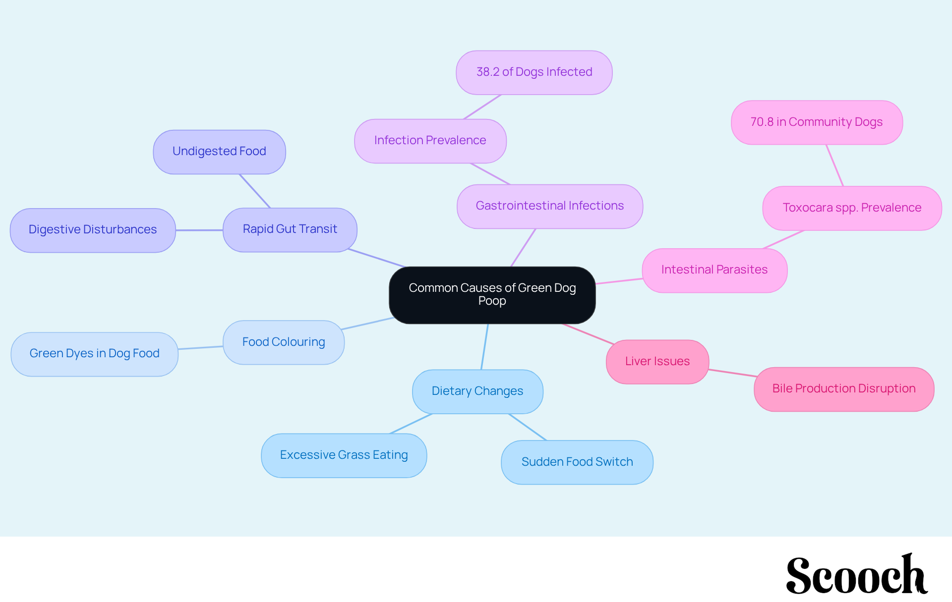 Understanding Green Dog Poop: Causes, Solutions, and Vet Advice
