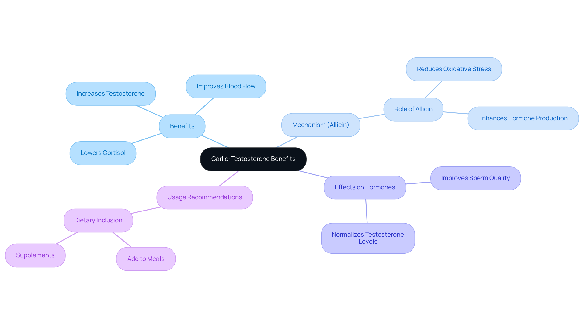 The center shows garlic's main benefits for testosterone. Follow the branches to explore how it works, its effects, and how to incorporate it into your diet.