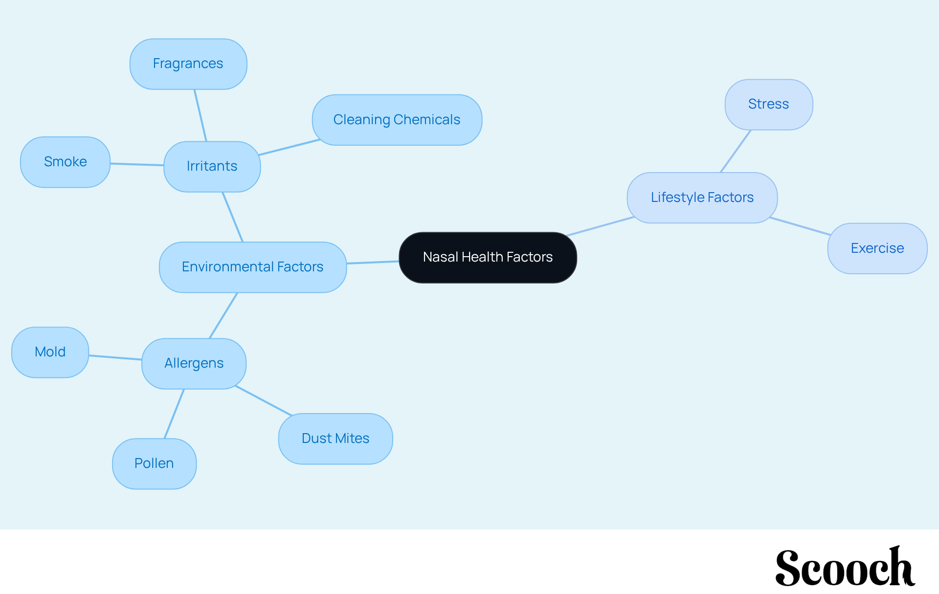 This mindmap shows how different factors influence your dog's nasal health. Start at the center with 'Nasal Health Factors', then follow the branches to see how environmental elements like allergens and irritants, as well as lifestyle choices like stress and exercise, can impact your dog's breathing.