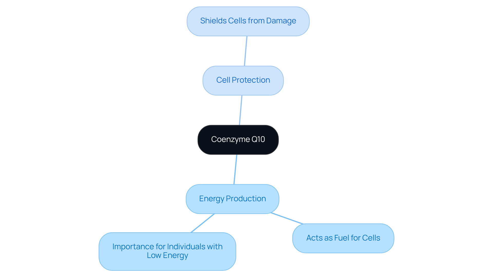 This mindmap starts with Coenzyme Q10 at the center. Follow the branches to explore how it boosts energy and protects cells. Each branch represents a key benefit, making it easy to see how CoQ10 can help improve your daily energy levels. This mindmap starts with Coenzyme Q10 at the center. Follow the branches to explore how it boosts energy and protects cells. Each branch represents a key benefit, making it easy to see how CoQ10 can help improve your daily energy levels.