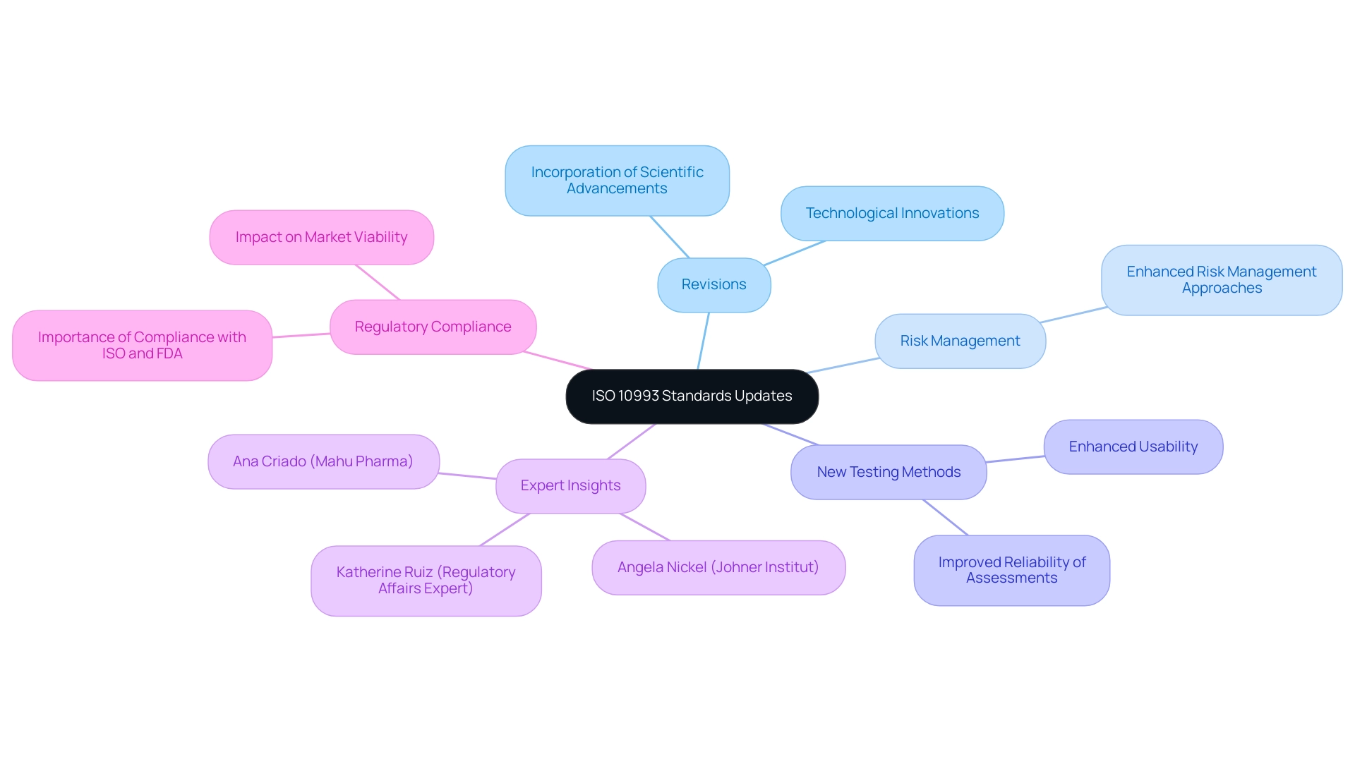 The central node represents the overall updates, with branches showing key areas such as revisions, risk management, new testing methods, expert insights, and compliance.