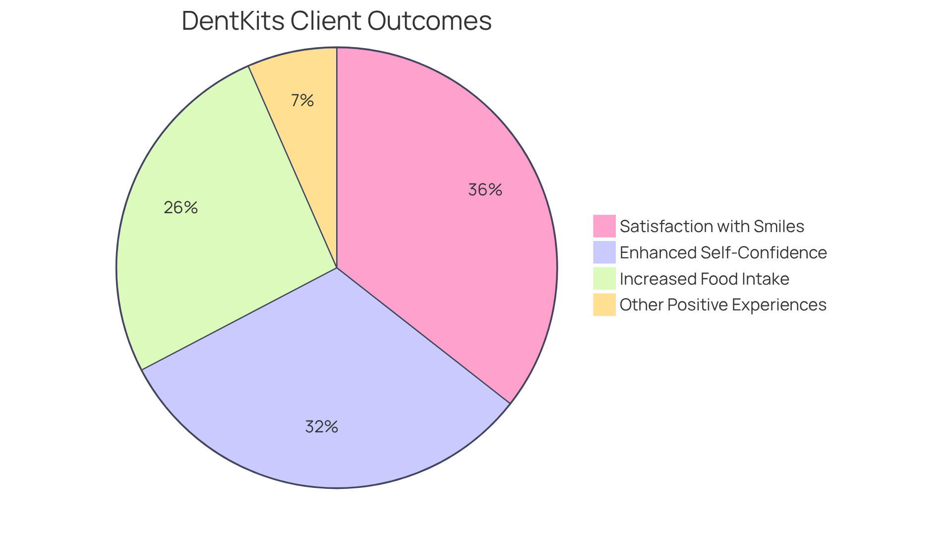 Each slice of the pie represents a different aspect of customer satisfaction. The larger the slice, the more people reported that experience, so you can easily see how impactful DentKits has been for its clients!