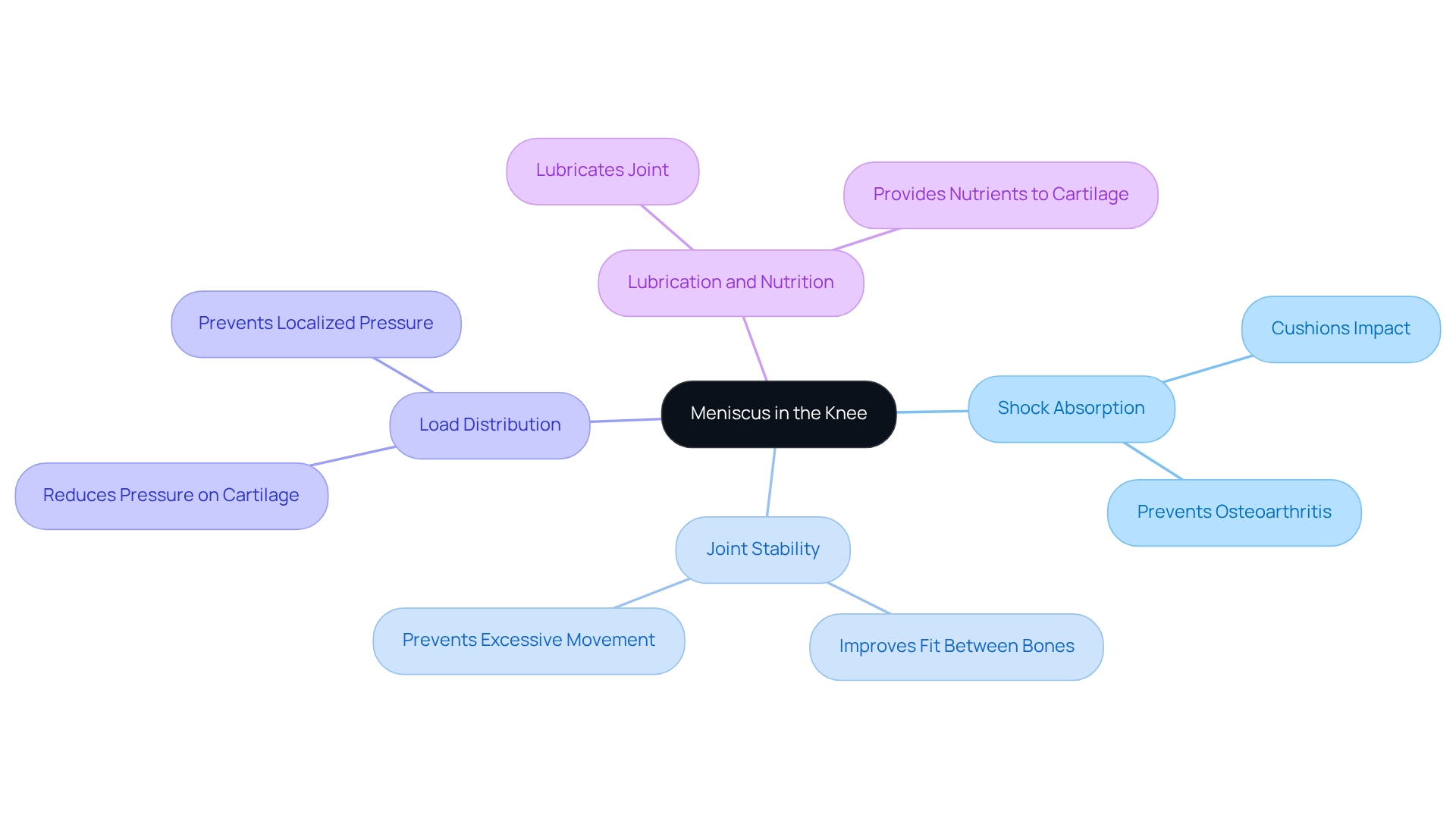The central node represents the meniscus, and each branch shows a different function. Follow the branches to understand how each function supports knee health and stability. The central node represents the meniscus, and each branch shows a different function. Follow the branches to understand how each function supports knee health and stability.