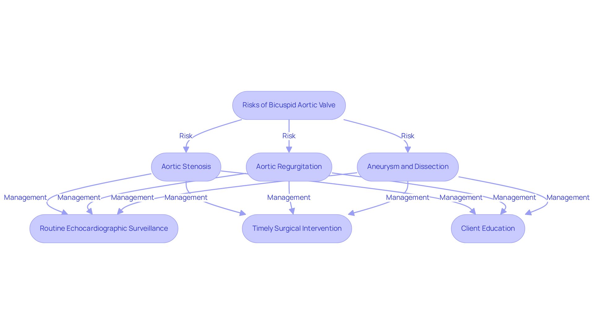 This flowchart shows the risks linked to a bicuspid aortic valve and the strategies to manage them. Follow the arrows to see how each risk leads to specific management actions. This flowchart shows the risks linked to a bicuspid aortic valve and the strategies to manage them. Follow the arrows to see how each risk leads to specific management actions.