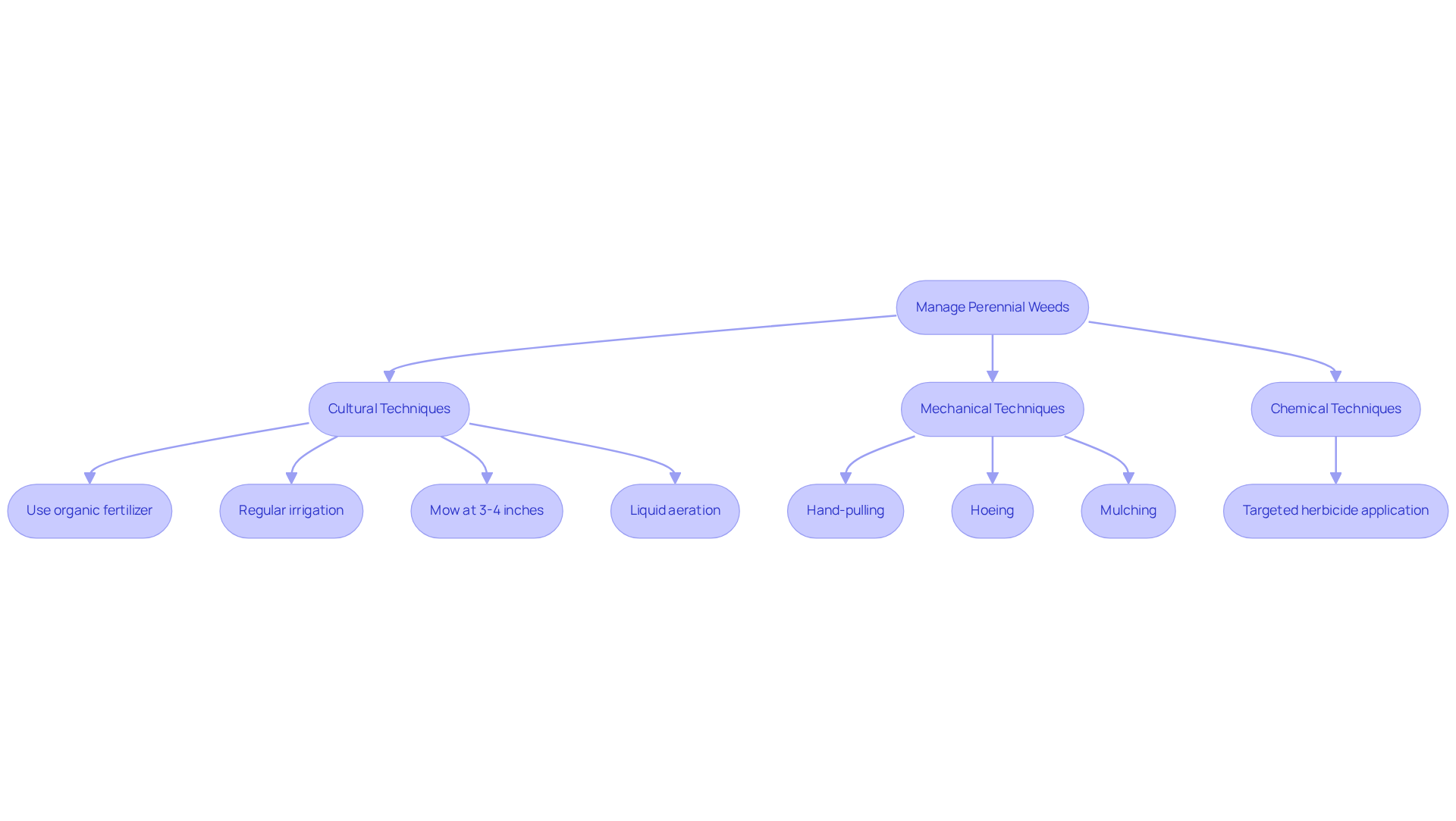 This flowchart guides you through the process of managing perennial weeds. Start at the top and follow the arrows to see the different techniques you can use, grouped by type. Each box contains specific actions to help you reclaim your yard.