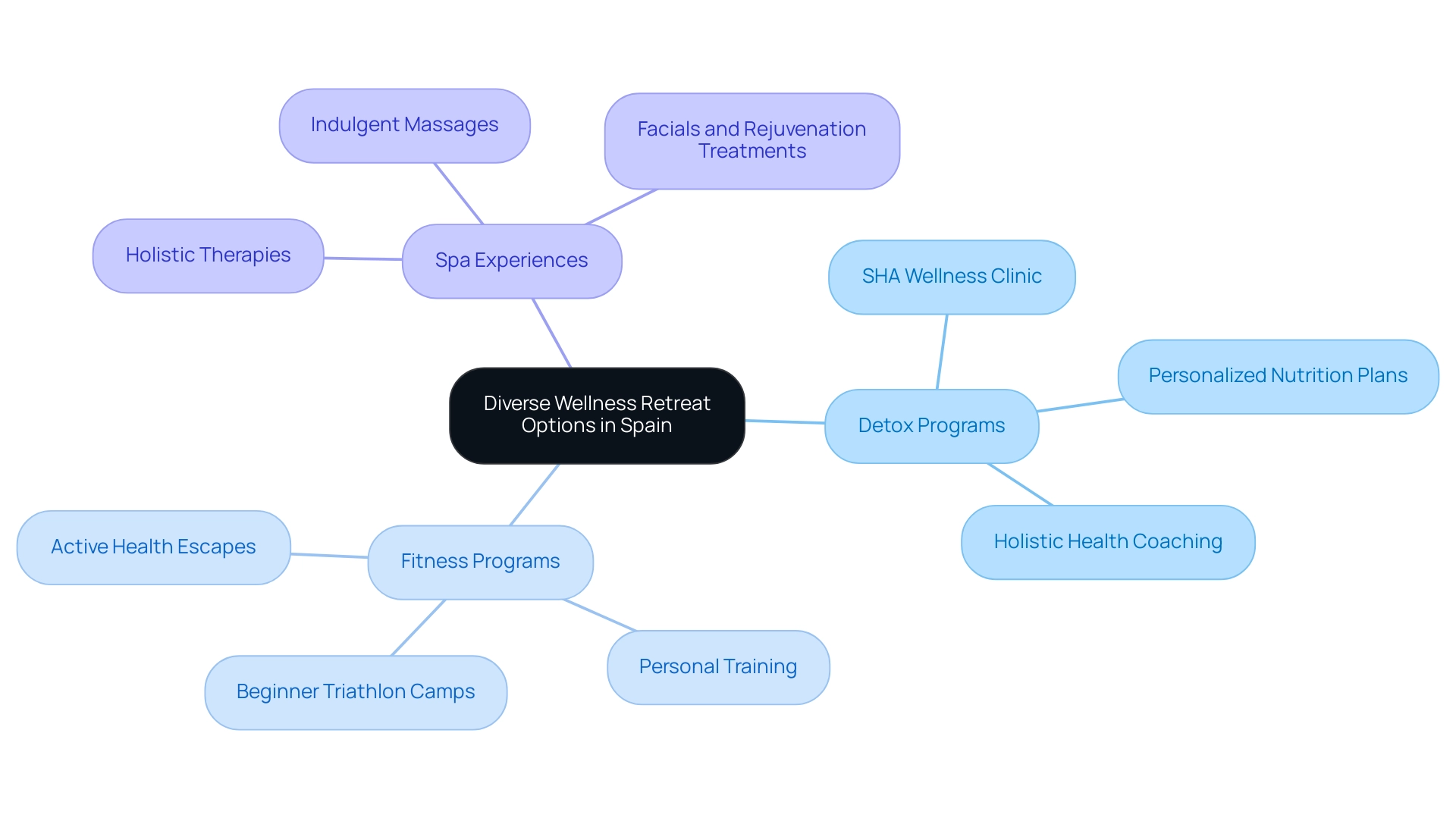 The central node represents wellness retreats in Spain, with branches showing detox programs, fitness programs, and spa experiences, each with unique offerings.