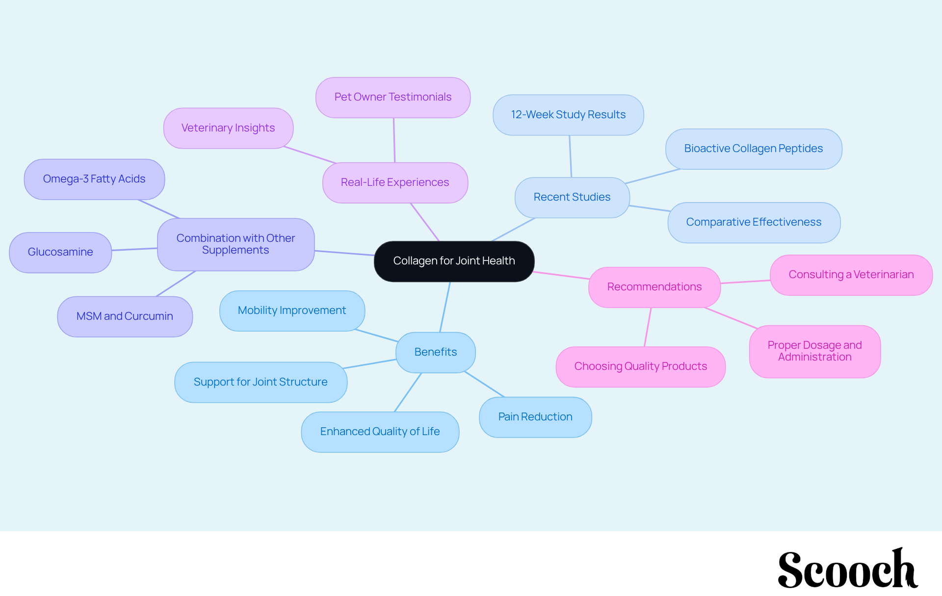 The center represents the main focus on collagen. Branches illustrate different aspects of its benefits and usage, showing how they connect to support the overall well-being of dogs.