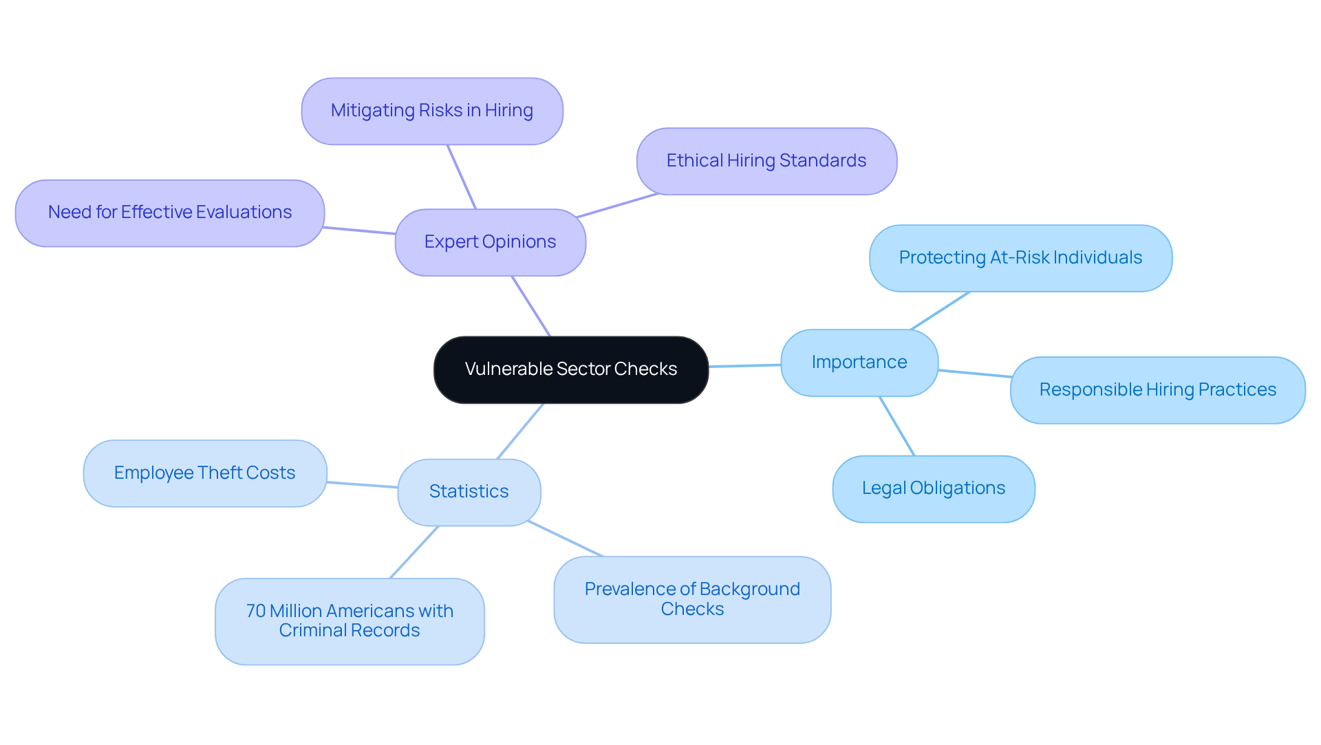 The central node represents the main topic, while branches show related aspects like why these checks are important, relevant statistics, and insights from experts. Follow the branches to understand the full context of vulnerable sector assessments.