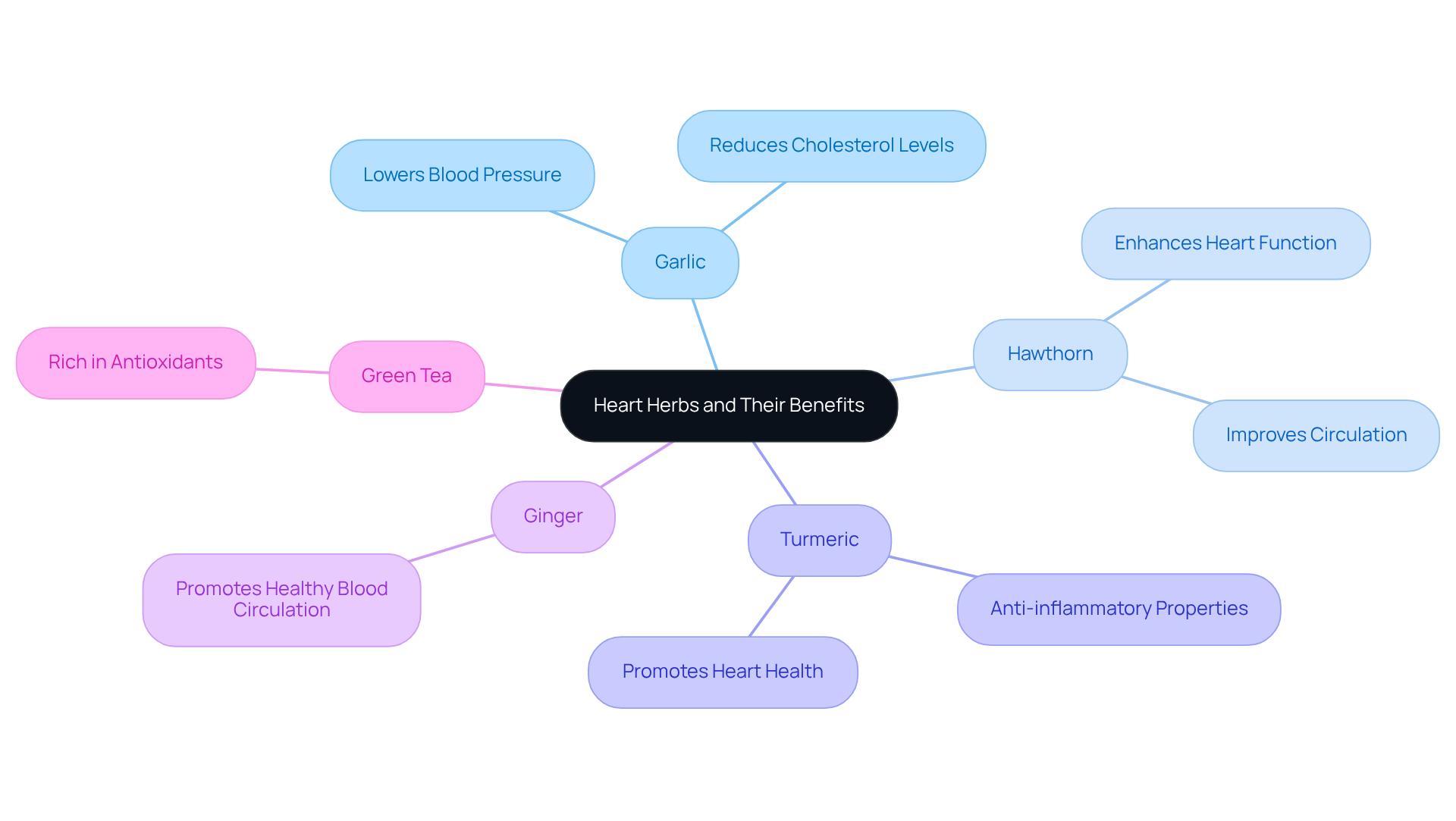 This mindmap shows various herbs that can support heart health. Each branch represents a different herb, and the sub-branches explain how they can benefit your heart. The more you know about these herbs, the better choices you can make for your heart health!