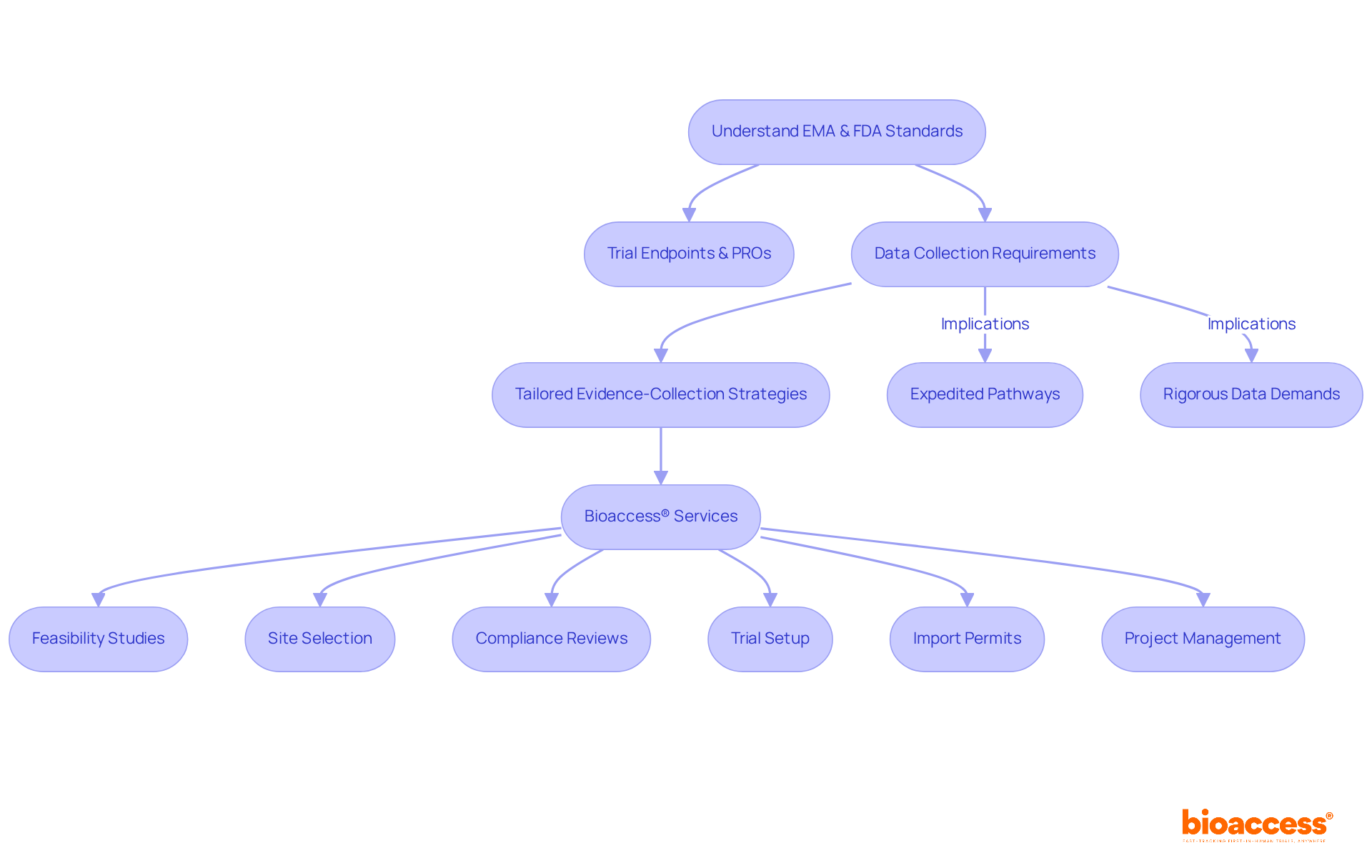 Follow the flowchart to understand the steps and decisions involved in meeting EMA and FDA standards, and see how Bioaccess® can assist at each stage of the process.