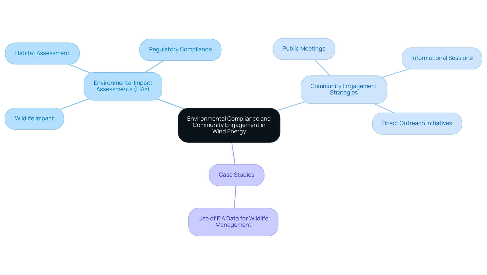 The central node represents the overarching theme, with branches showing key areas of focus: EIAs, Community Engagement Strategies, and Case Studies, each differentiated by color.