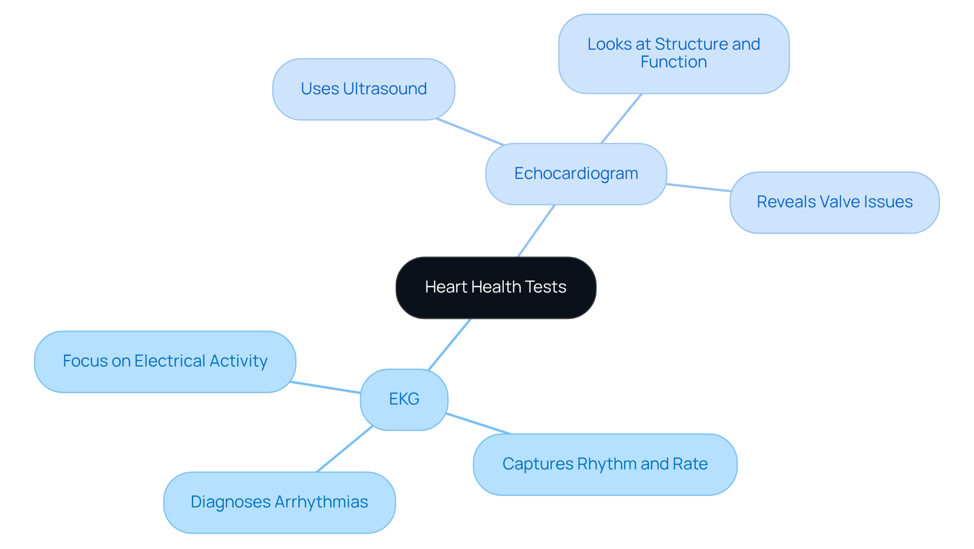 The central node represents heart health tests, with branches showing the key differences and functions of EKGs and echocardiograms. Each color-coded branch helps you easily identify the unique aspects of each test.