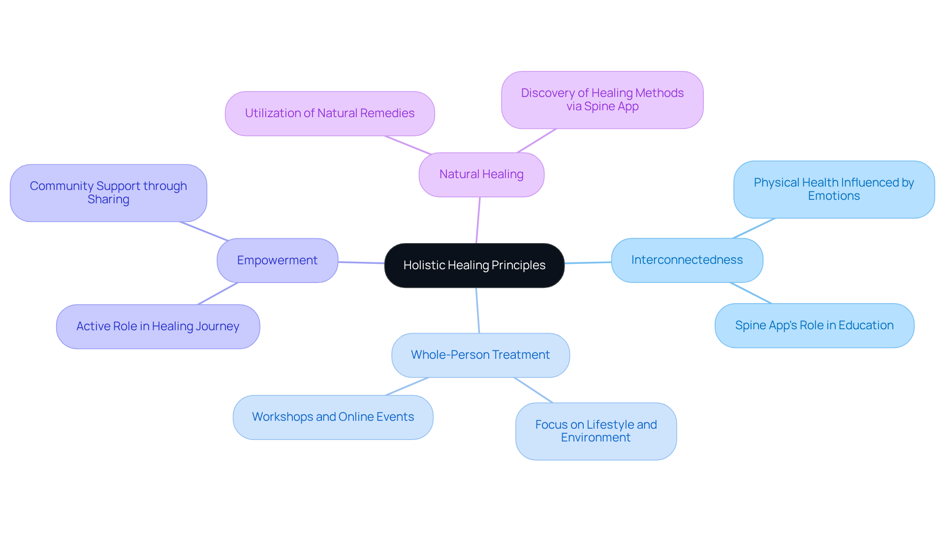 The center represents the main theme of holistic healing, while the branches show the key principles that contribute to overall wellness. Each principle is interconnected, emphasizing the holistic approach to health.