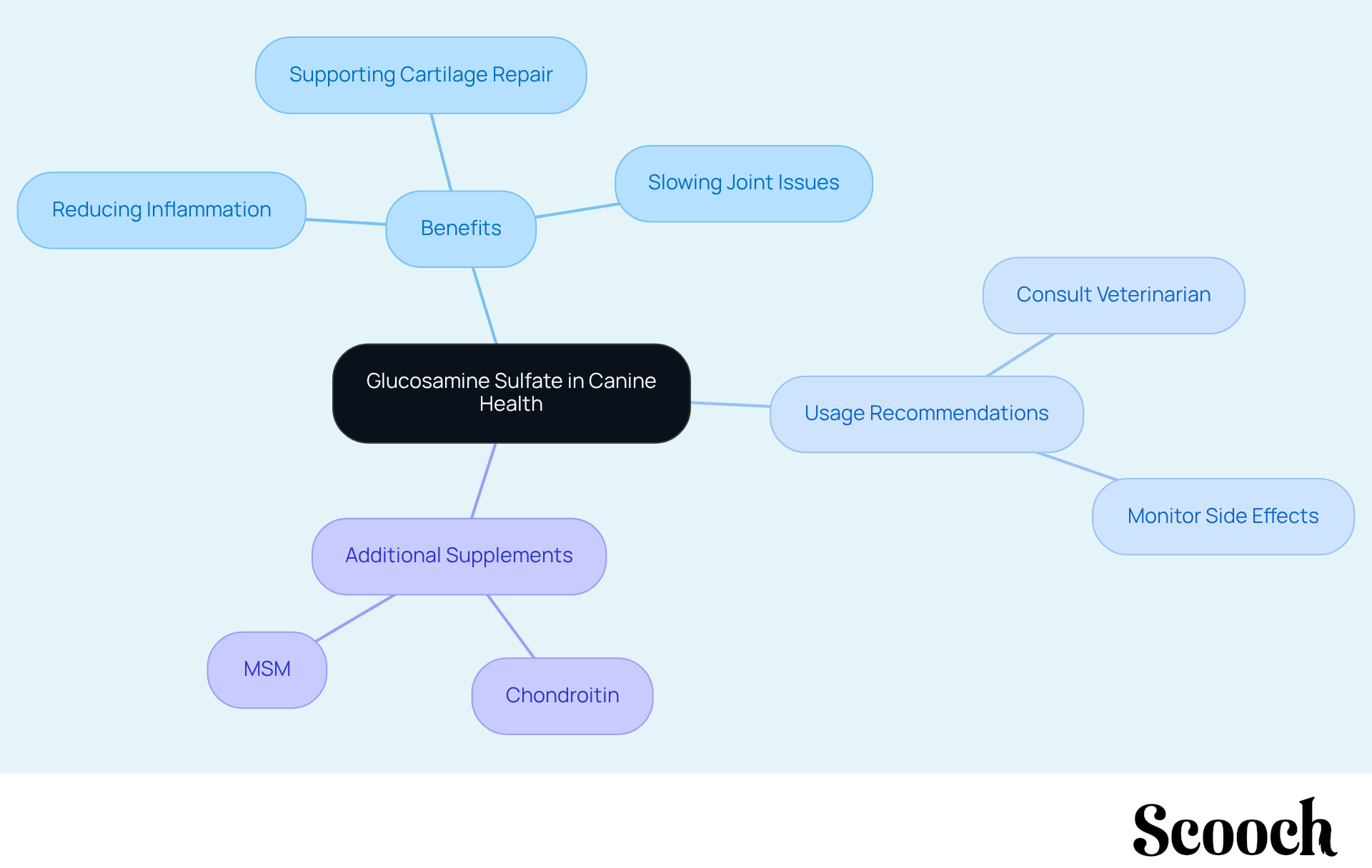 The central idea is glucosamine sulfate, and the branches show its benefits, how to use it, and other supplements that can help. Each color represents a different category, making it easy to follow the connections.