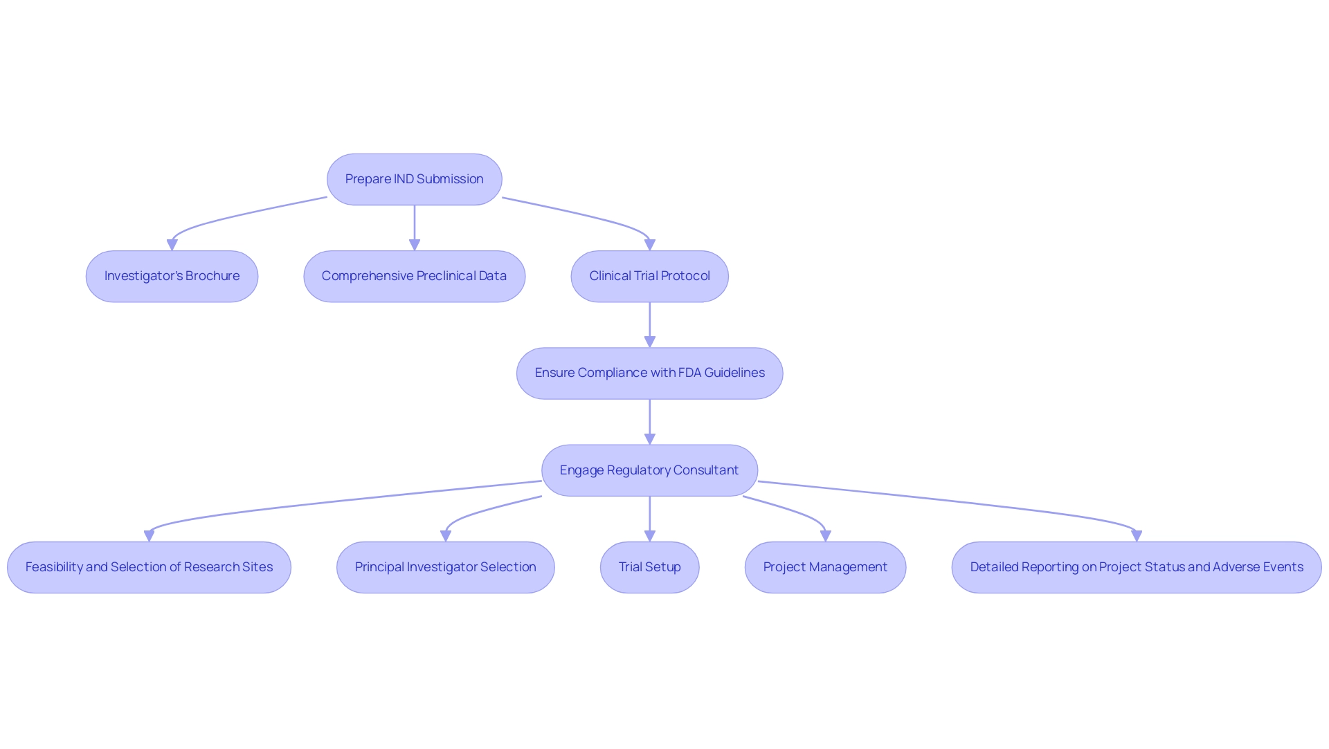 Boxes represent steps in the IND submission process, with arrows indicating the flow of actions. Different colors may represent different categories of tasks (e.g., preparation, compliance, consultation).