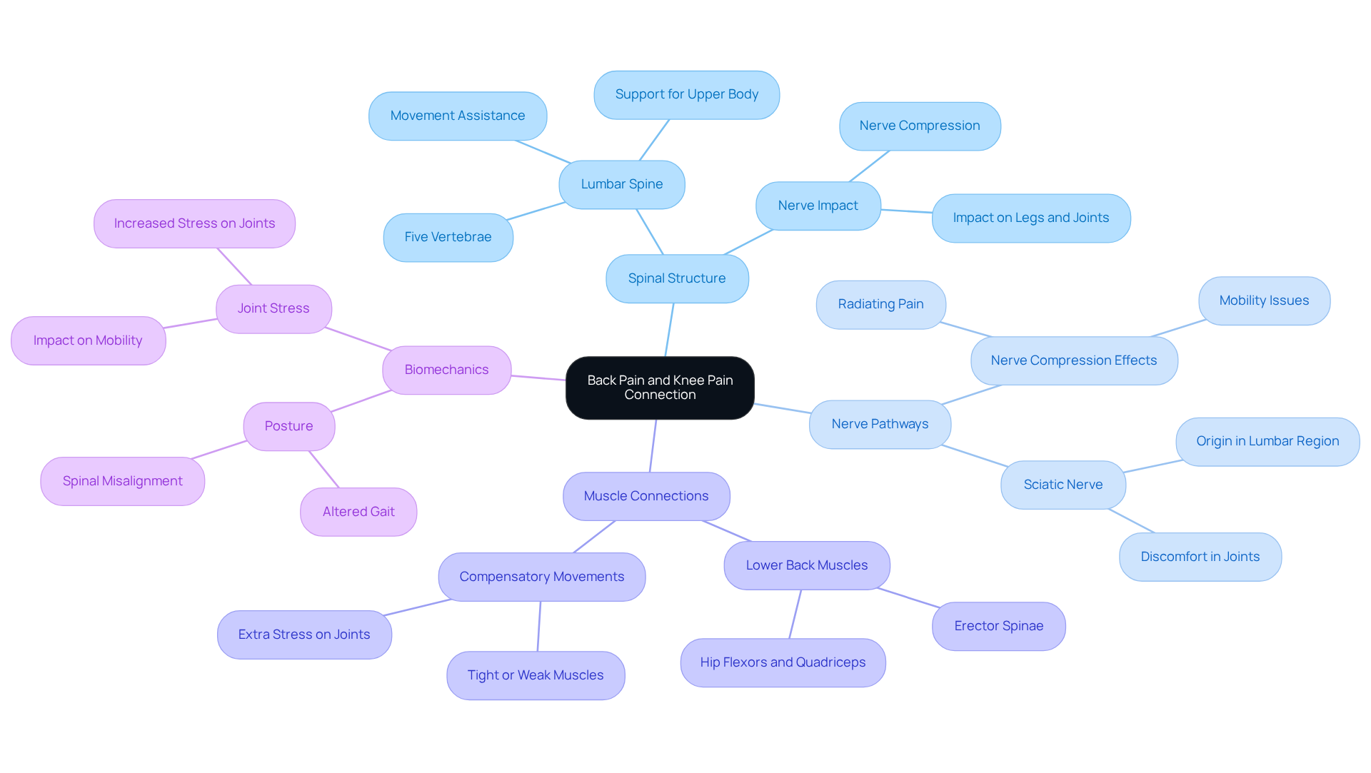 The central node represents the main topic, while the branches show different anatomical factors that influence how back pain can lead to knee pain. Each branch helps you explore specific areas that contribute to this connection. The central node represents the main topic, while the branches show different anatomical factors that influence how back pain can lead to knee pain. Each branch helps you explore specific areas that contribute to this connection.