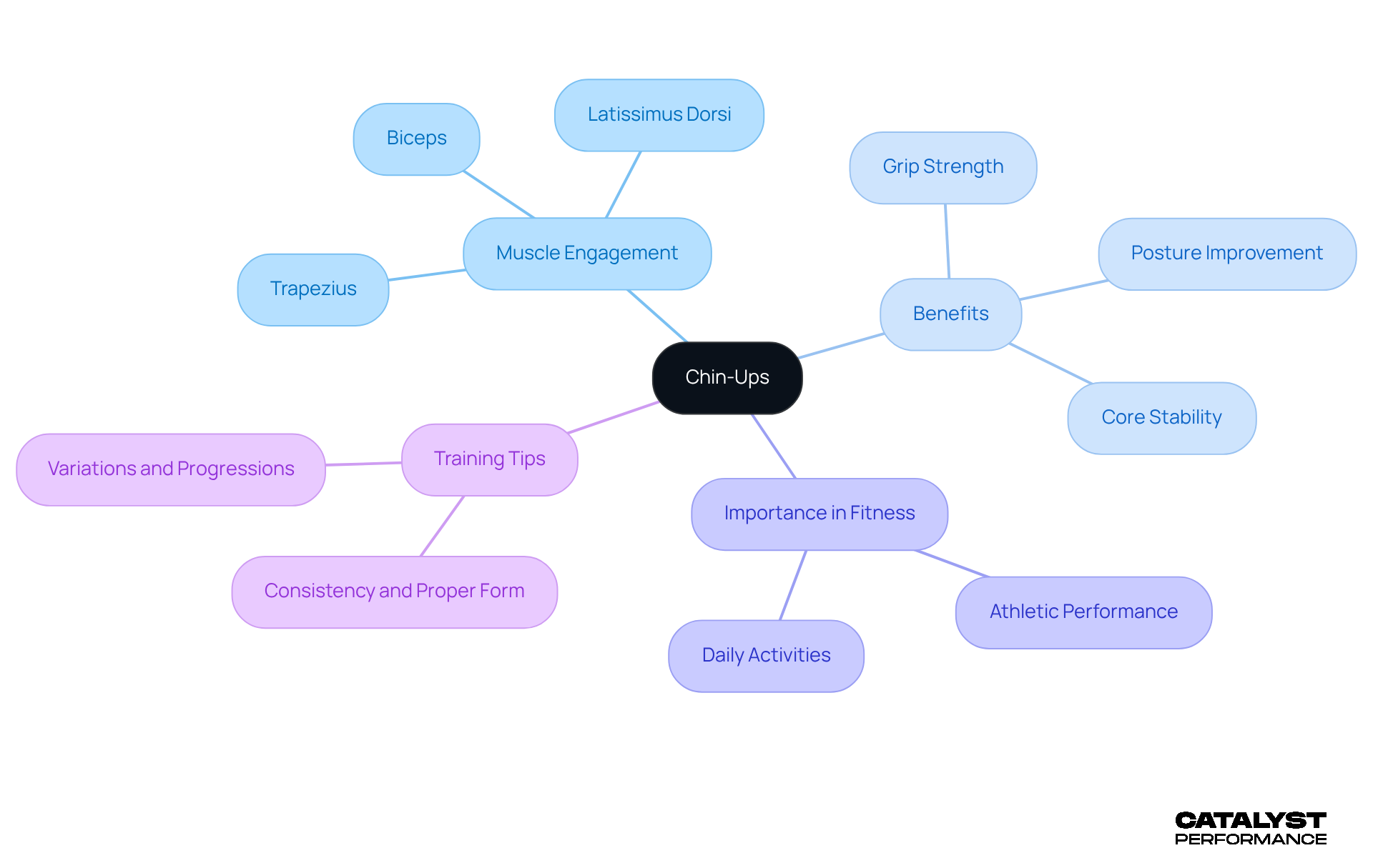 The central node represents chin-ups, while the branches show different aspects like muscle groups worked, benefits, and their significance in fitness. Each color-coded branch helps you quickly identify related topics.