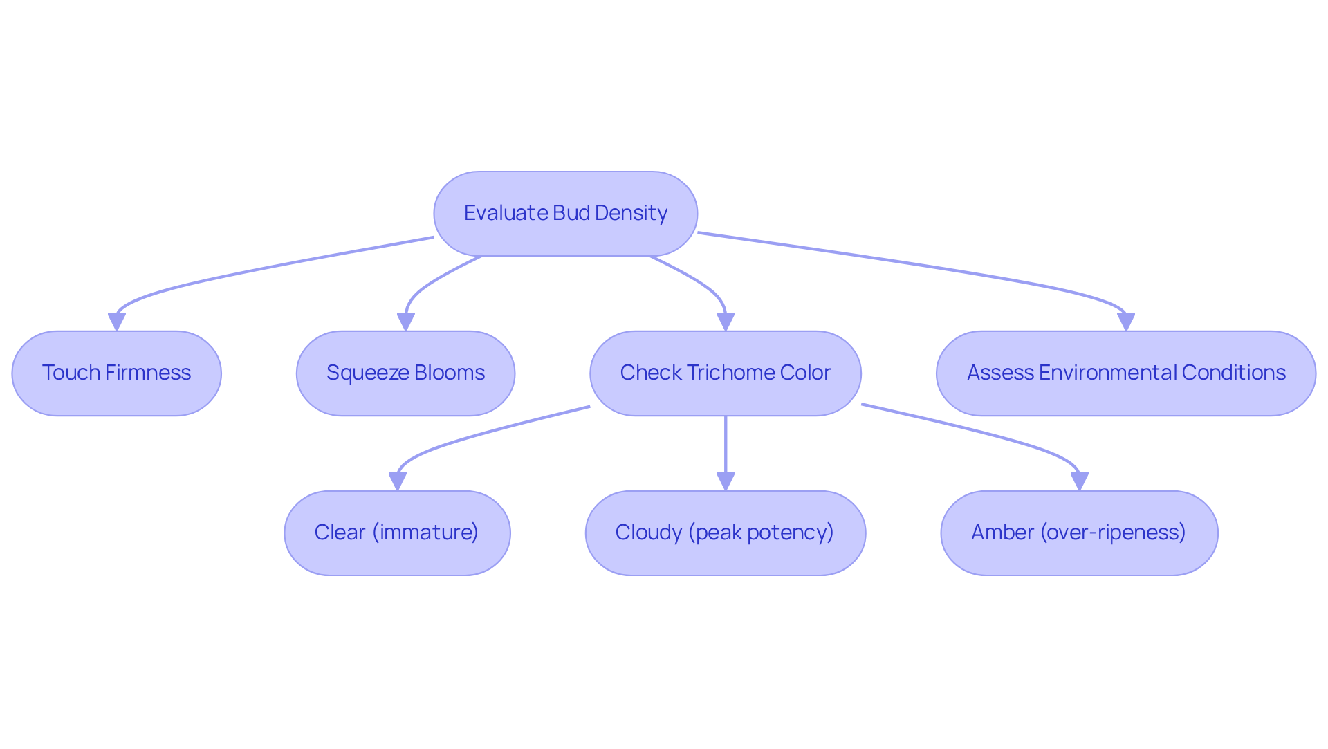 Follow the flowchart from top to bottom. Each box represents a step in evaluating cannabis flowers' density and quality. Check the firmness, squeeze for resilience, examine trichome color, and ensure optimal growing conditions for the best results. Follow the flowchart from top to bottom. Each box represents a step in evaluating cannabis flowers' density and quality. Check the firmness, squeeze for resilience, examine trichome color, and ensure optimal growing conditions for the best results.