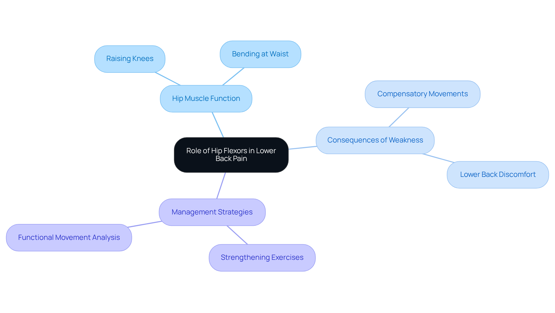 The central node represents the main topic, while branches show related concepts. Each color-coded branch helps you see how hip flexors affect lower back pain and what can be done to manage it. The central node represents the main topic, while branches show related concepts. Each color-coded branch helps you see how hip flexors affect lower back pain and what can be done to manage it.