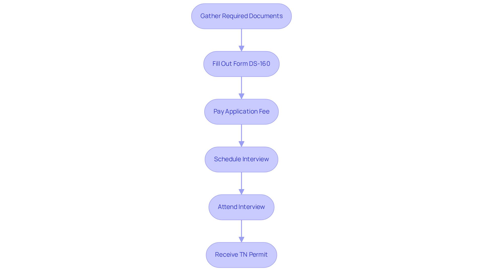 This flowchart guides you through the TN Visa application process. Start at the top and follow the arrows down to see what you need to do at each stage. Each box represents a step, and the final box shows the successful outcome of receiving your TN permit.