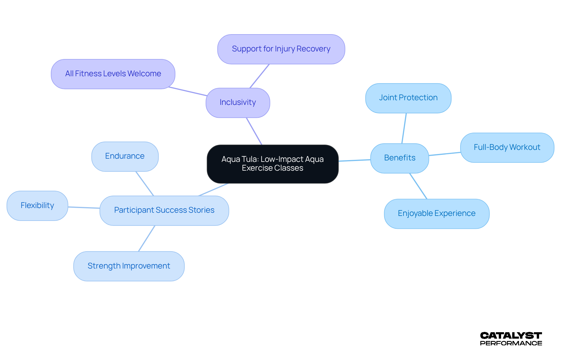 The center represents Aqua Tula's classes, and the branches show the various benefits and experiences associated with them. Each color-coded branch highlights a different aspect, making it easy to see how Aqua Tula supports fitness for everyone.