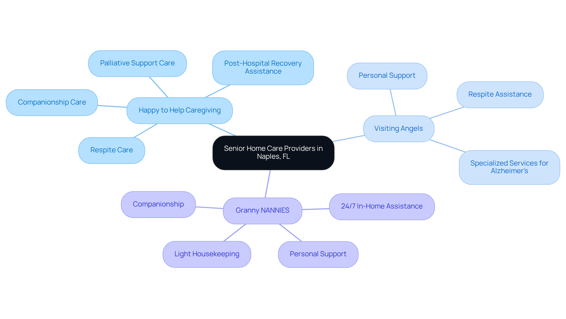 The central node represents the overall theme of senior home care providers, while each branch shows a specific provider and their services. The sub-branches detail the unique offerings, helping you understand what each provider specializes in.