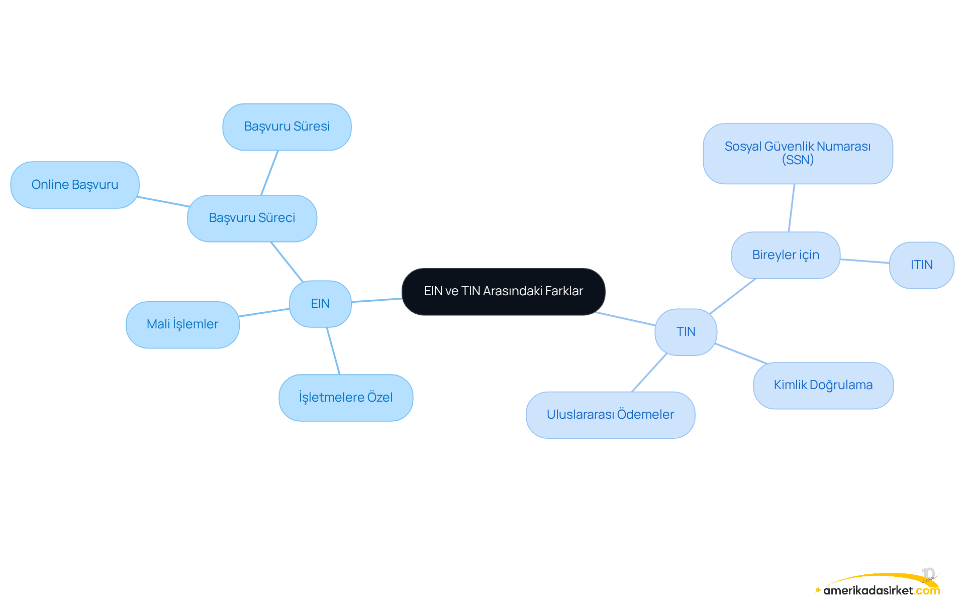 Merkezde EIN ve TIN kavramları var. Dallar, her bir kavramın özelliklerini ve kullanım alanlarını gösteriyor. Renkler, farklı kategorileri ayırt etmeye yardımcı oluyor.
