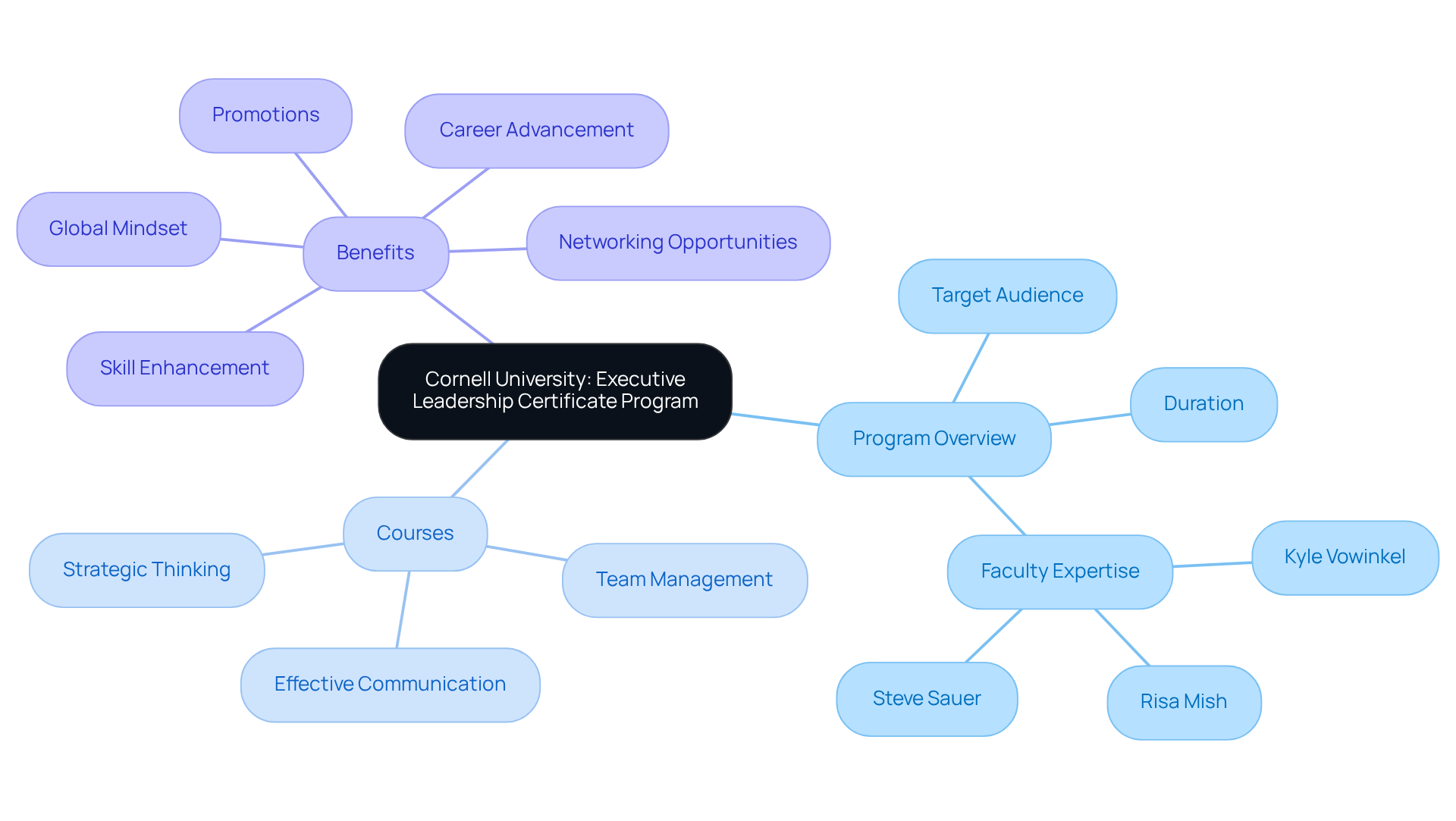 This mindmap starts with the main program at the center, branching out to show the courses and their benefits. Each branch represents a key aspect of the program, helping you see how everything connects and contributes to your growth as a leader.