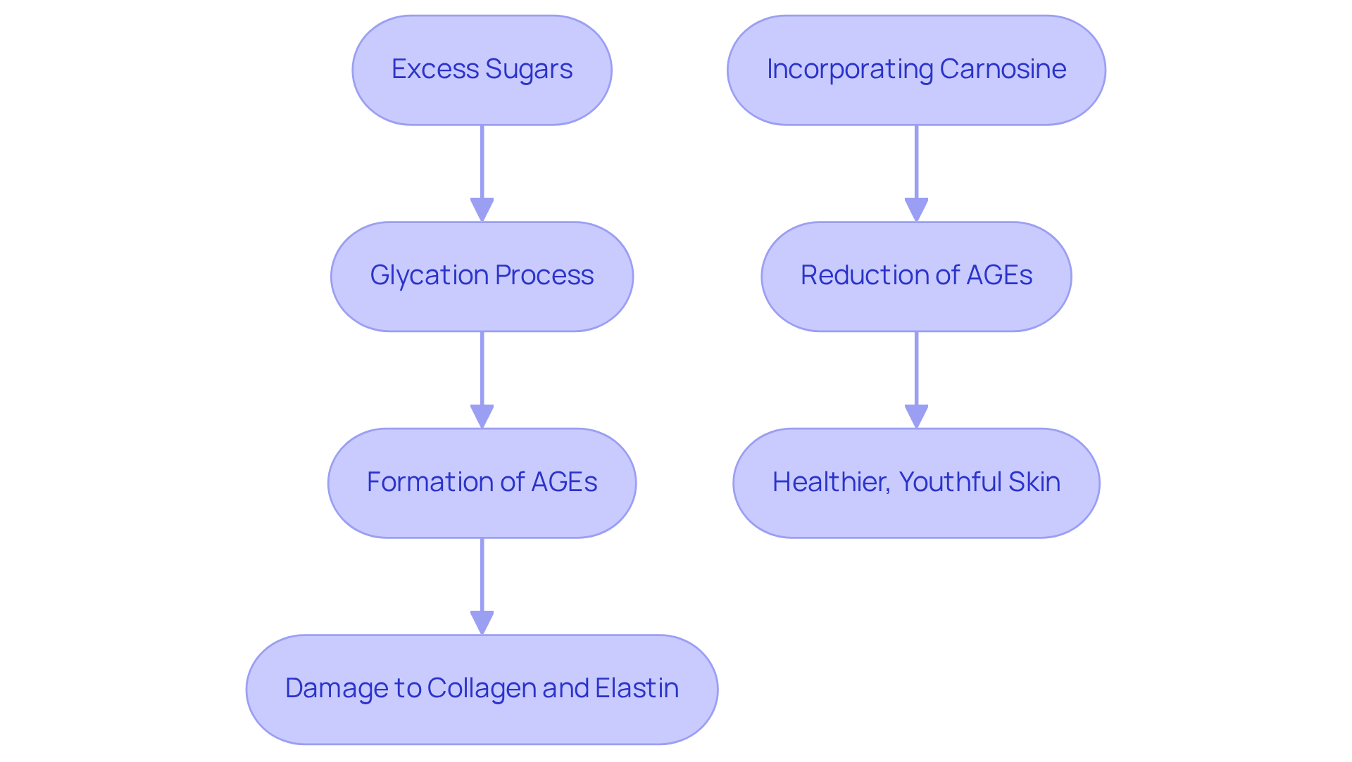 This flowchart illustrates how excess sugars lead to glycation and the formation of harmful AGEs, which damage skin proteins. It also shows how incorporating carnosine can help reduce these harmful effects, leading to healthier skin. This flowchart illustrates how excess sugars lead to glycation and the formation of harmful AGEs, which damage skin proteins. It also shows how incorporating carnosine can help reduce these harmful effects, leading to healthier skin.